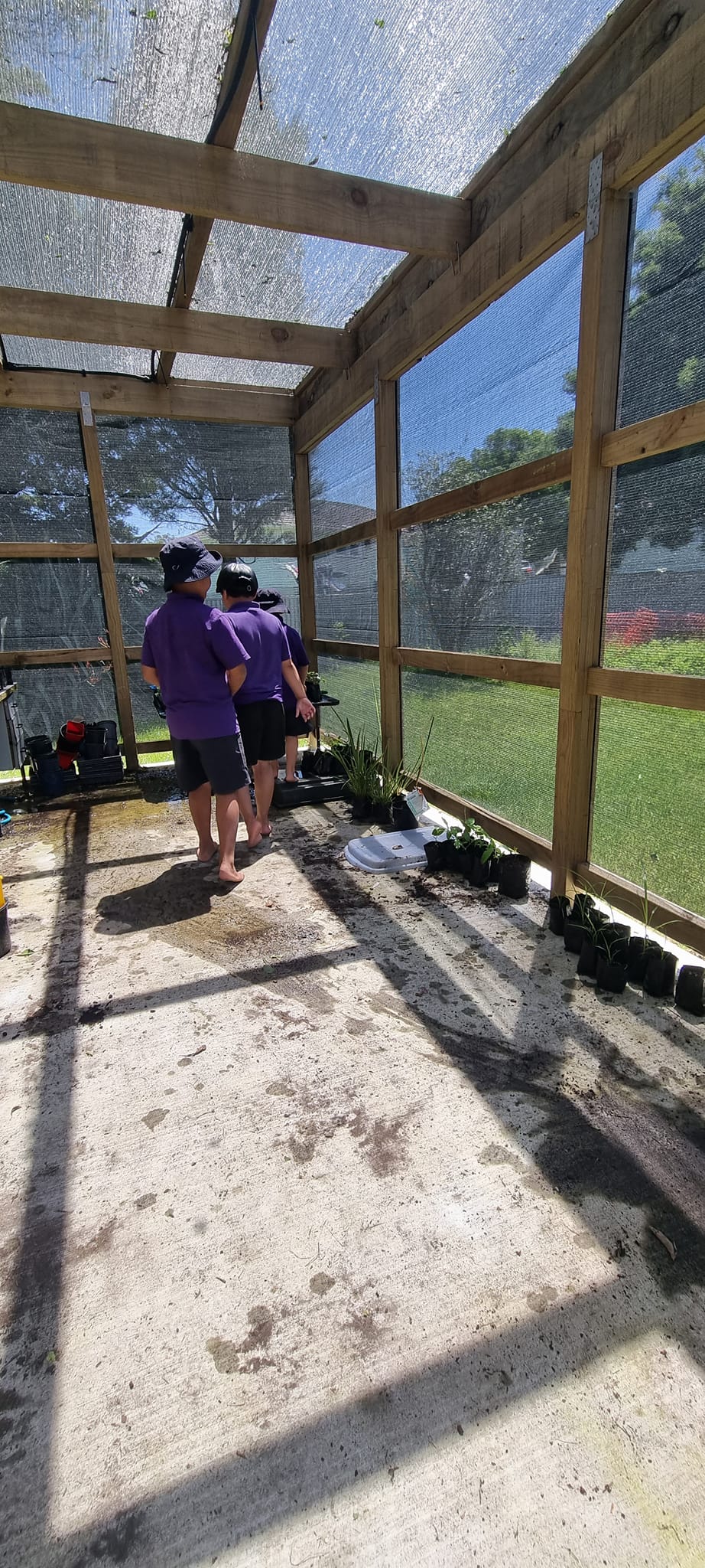 Enviroschools | Watering systems help grow healthy ākonga