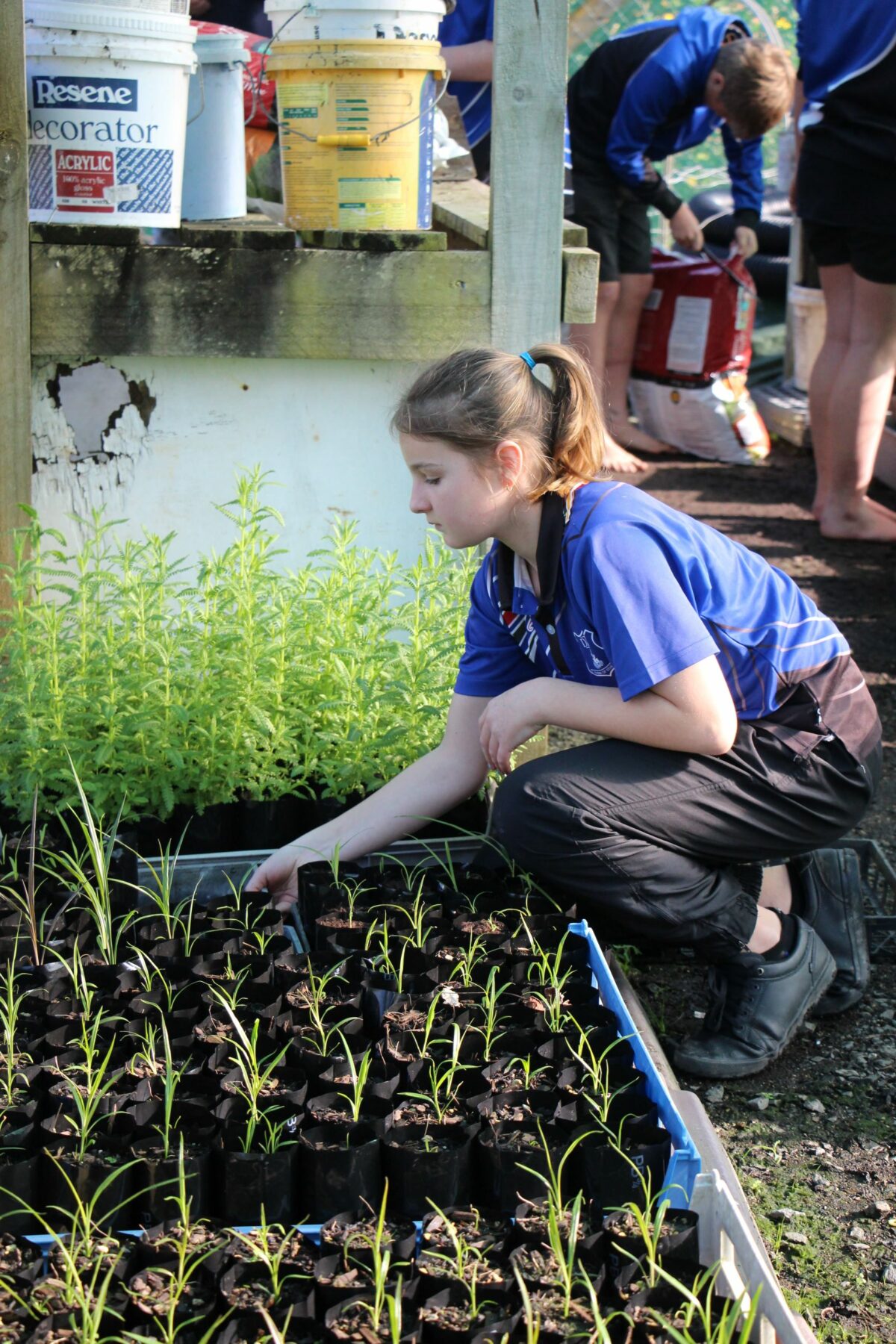 Enviroschools | WaiRestoration Tour showcases engagement in hands-on ...