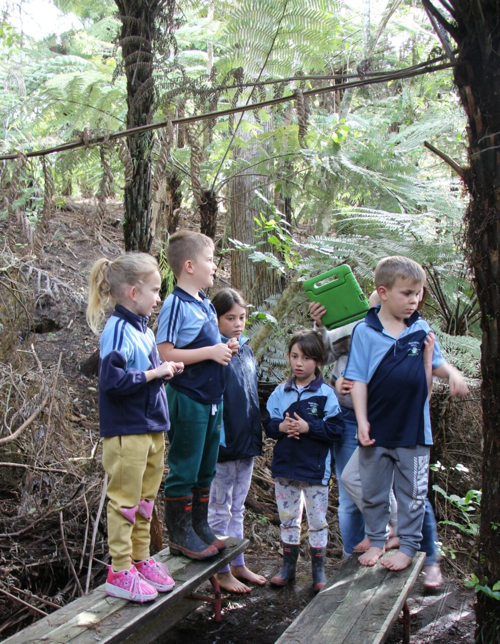 Enviroschools | WaiRestoration Tour showcases engagement in hands-on ...