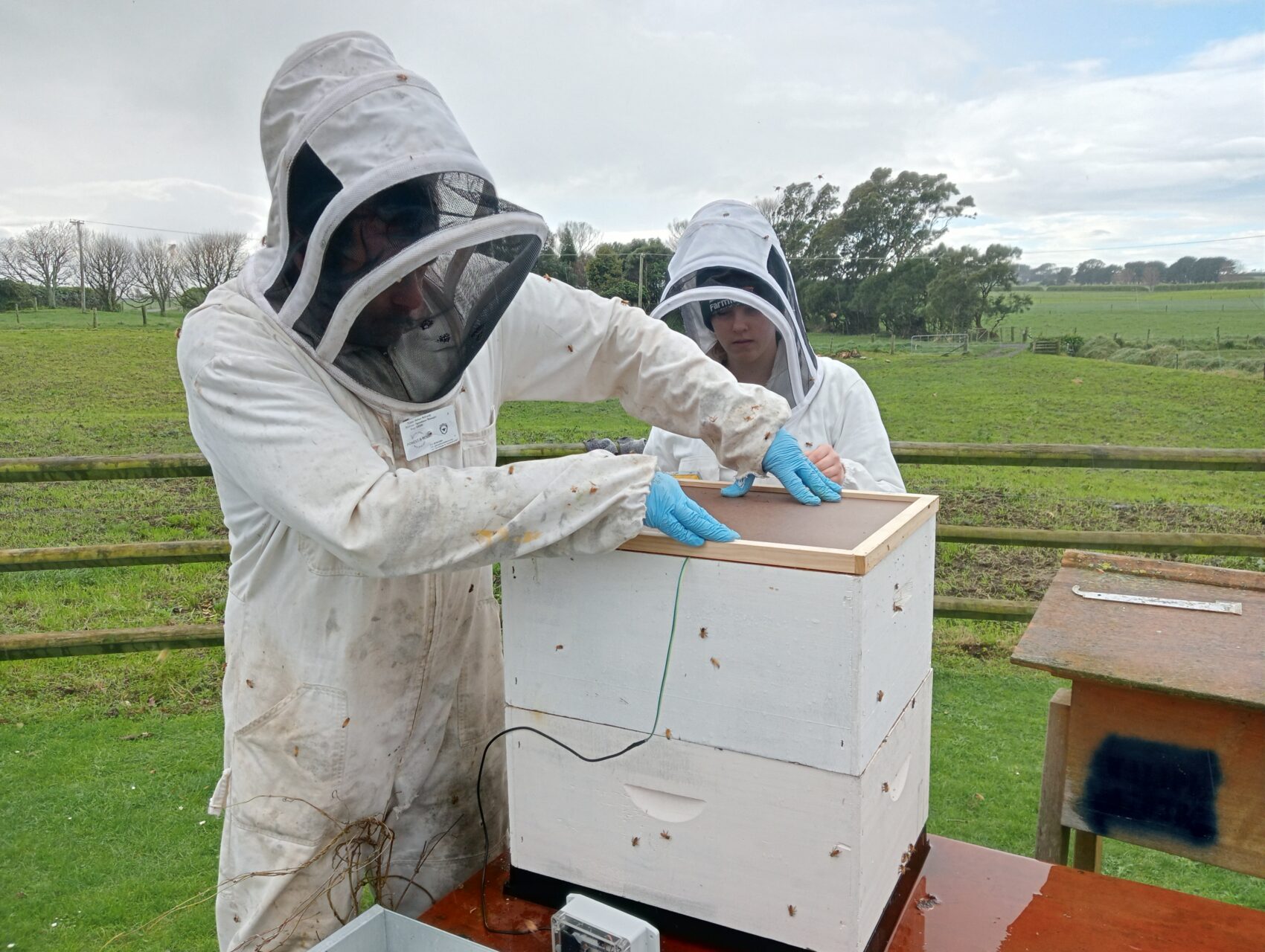 Enviroschools | Technology aids beehive monitoring at Opunake High
