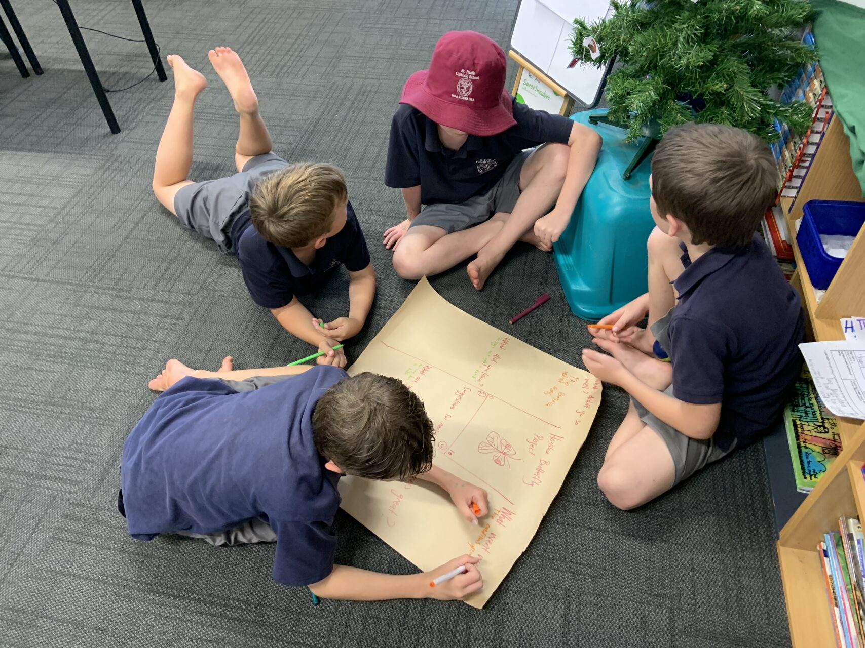 Enviroschools | Caterpillars raised in classroom chomp troublesome climber