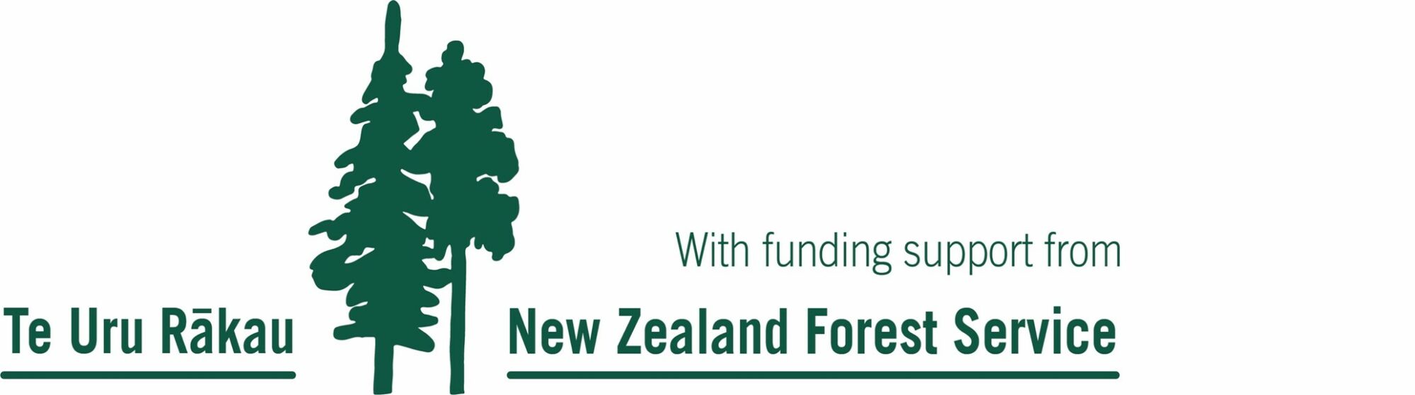 Enviroschools | One Billion Trees Partnership grows and extends ...