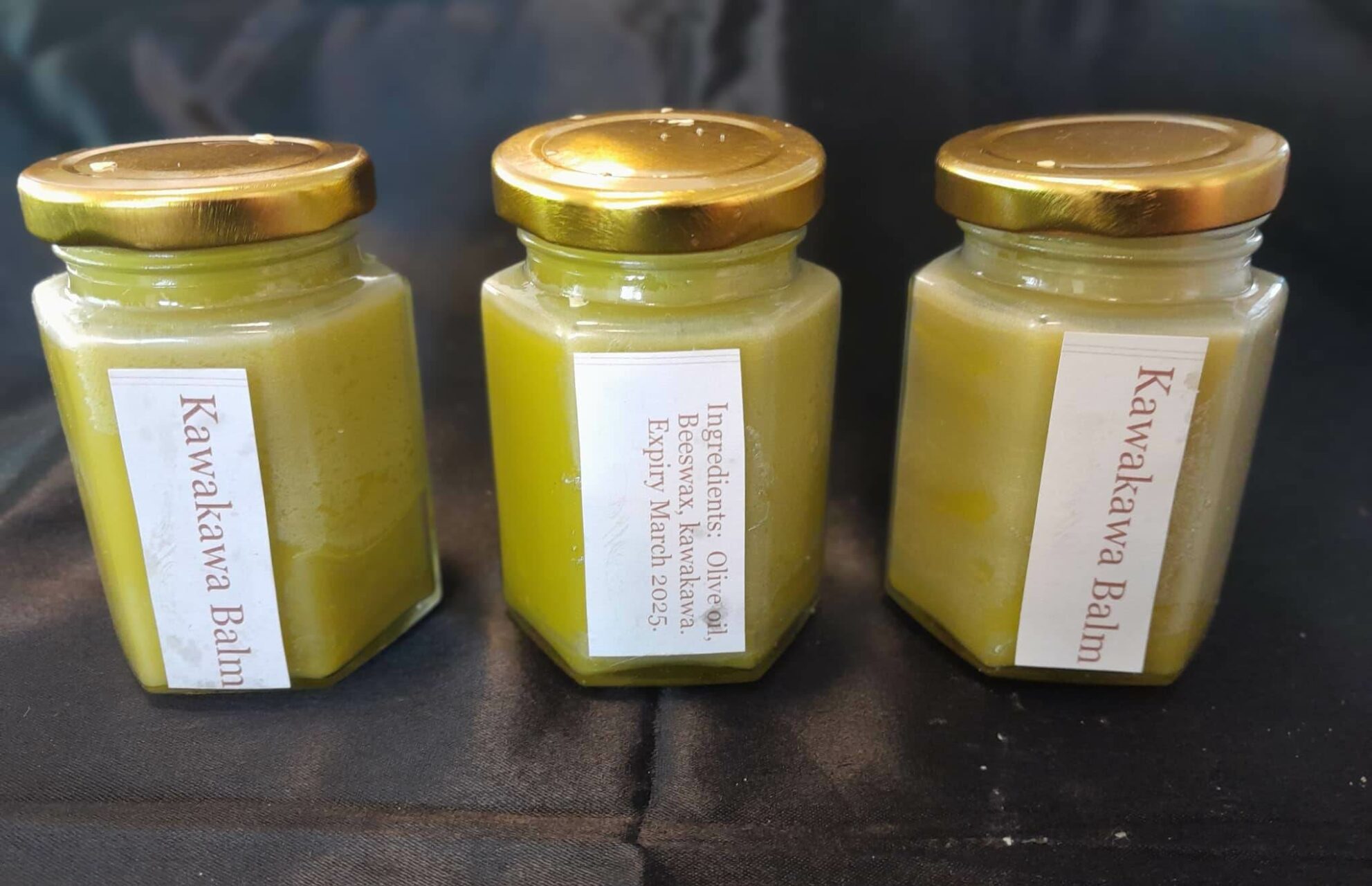 Enviroschools | Rongoā supports hauora at Kimbolton Early Learning Centre