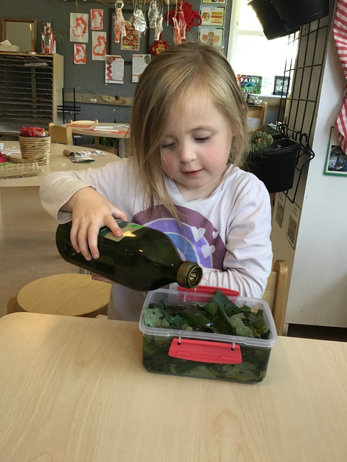 Enviroschools | Rongoā supports hauora at Kimbolton Early Learning Centre