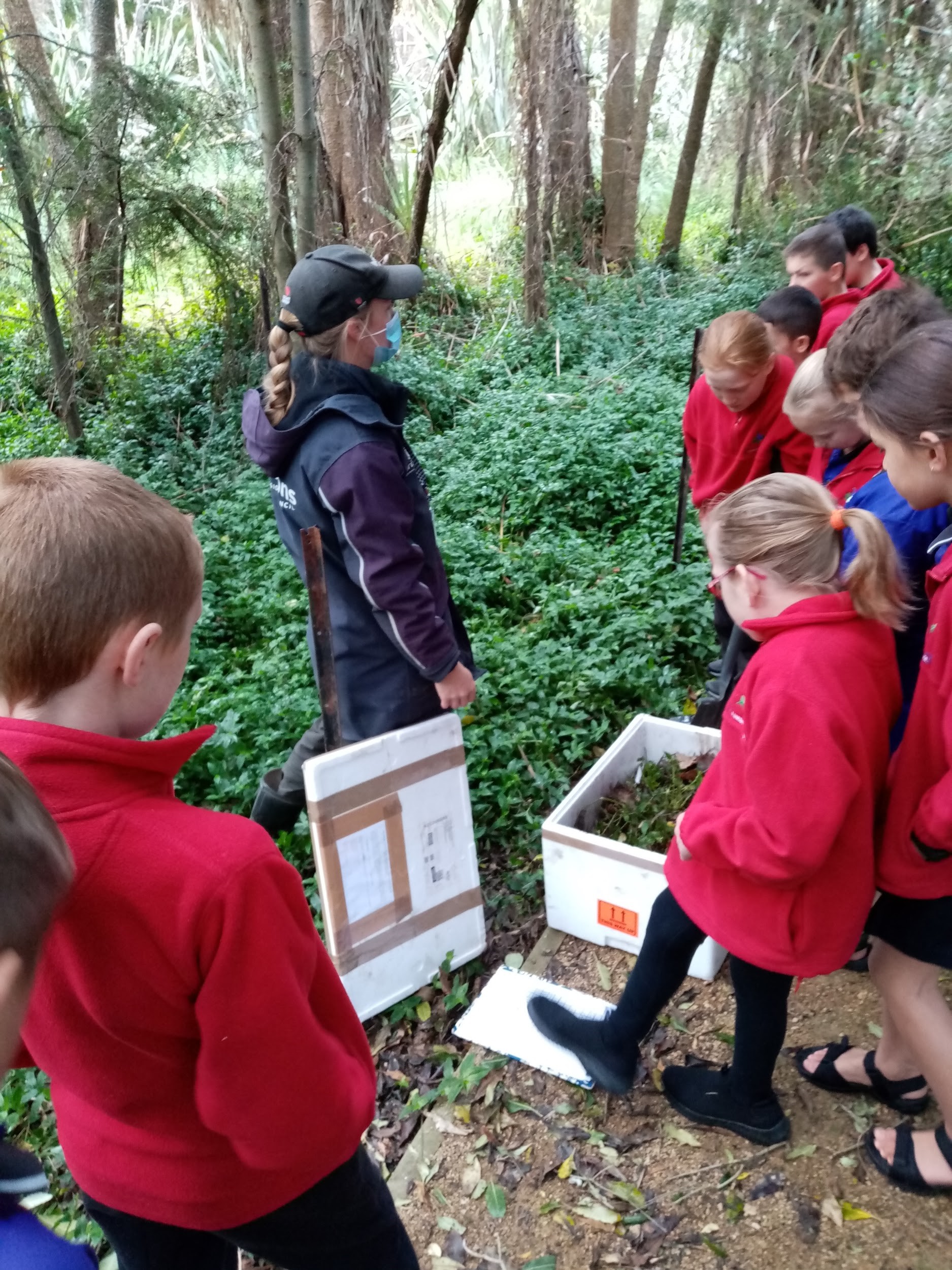 Enviroschools | Fungal infection spreads positive message about biocontrol