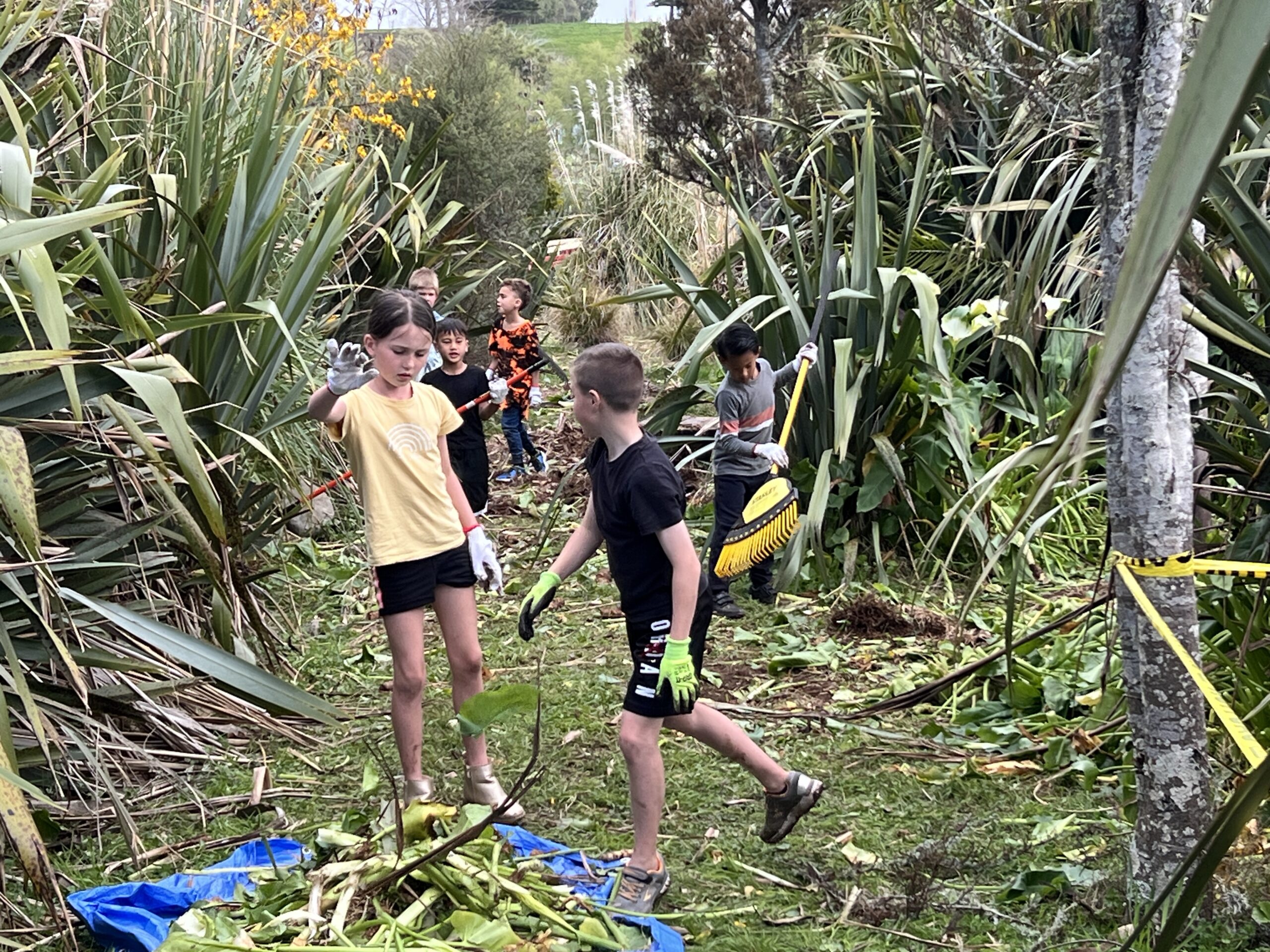 Enviroschools | St Joseph’s Waitara get help weeding wetland