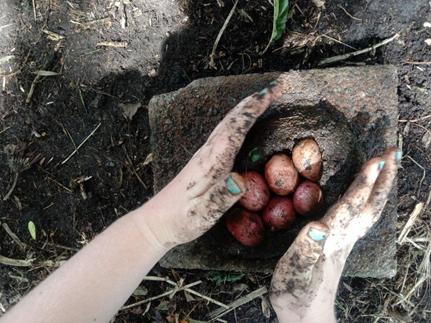 Enviroschools | Bush School experiences build self-determination and ...