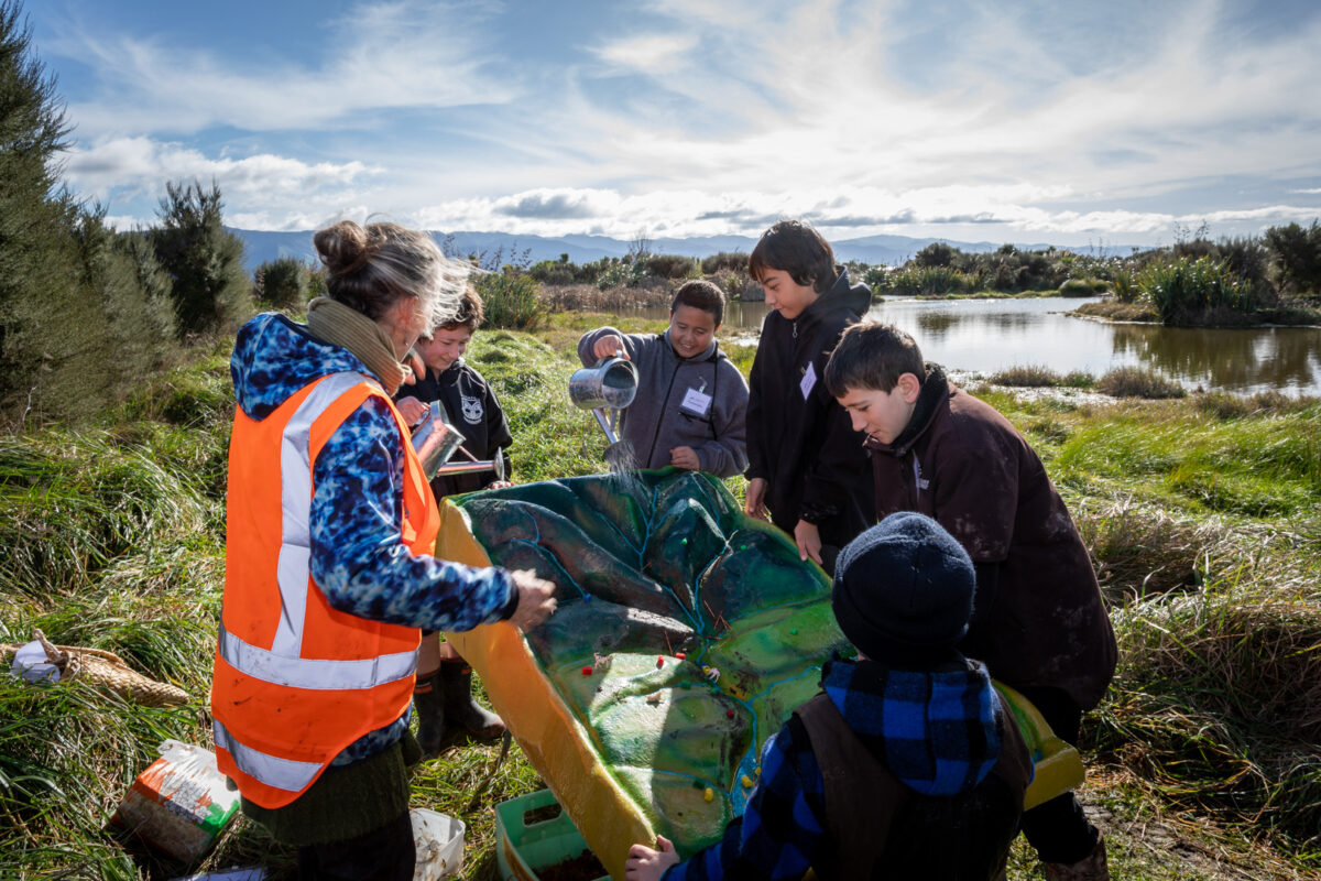 Enviroschools | Wondering about wetlands in Wairarapa