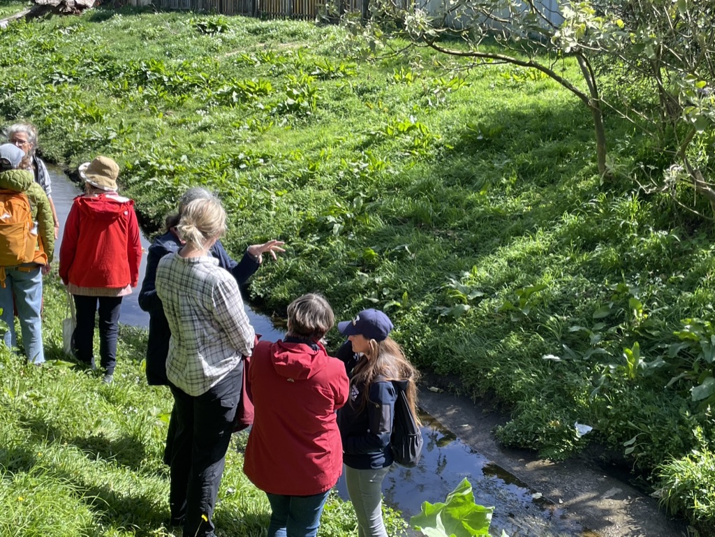 Enviroschools | Facilitators deepen practice