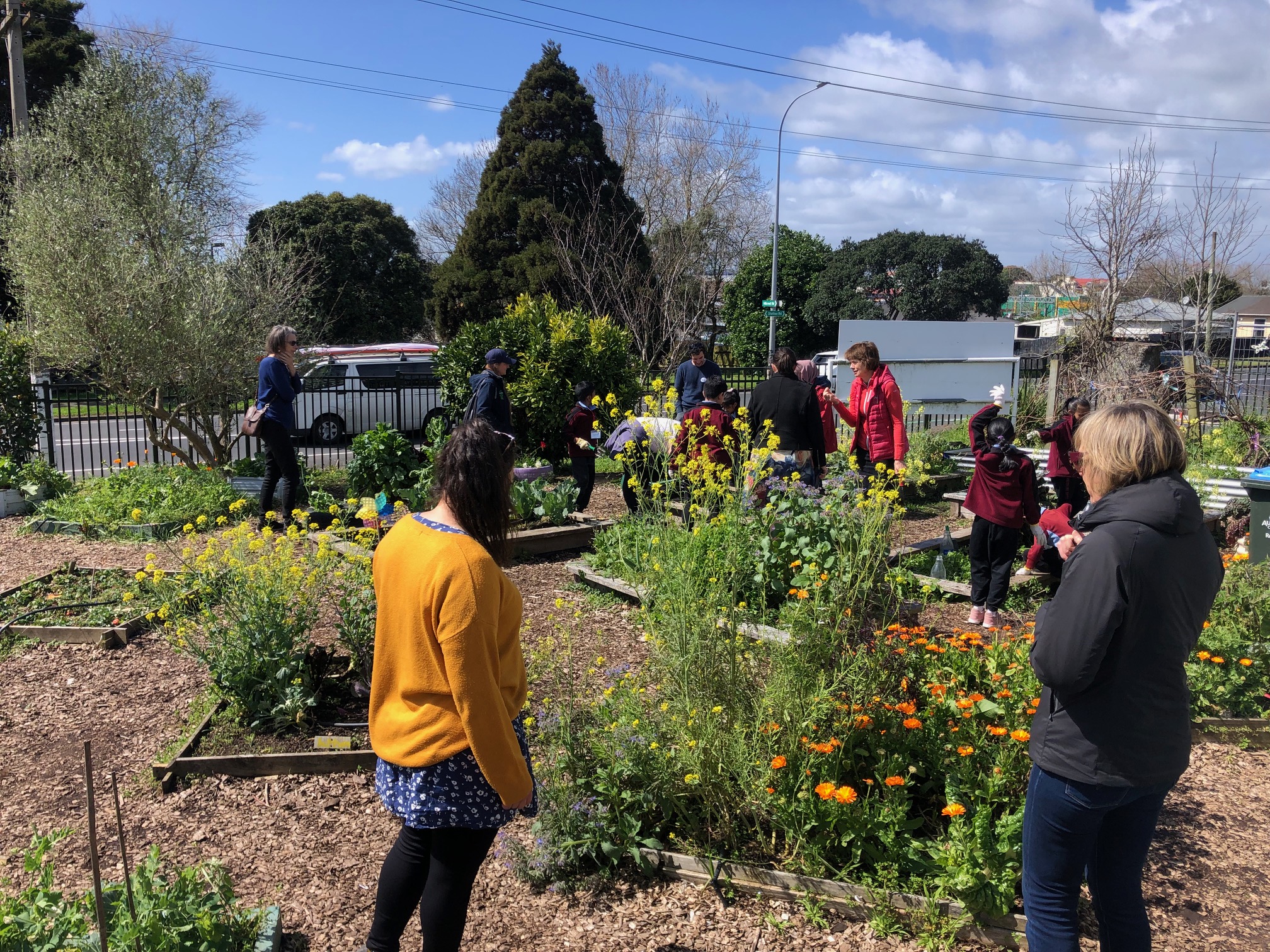 Enviroschools | Facilitators deepen practice