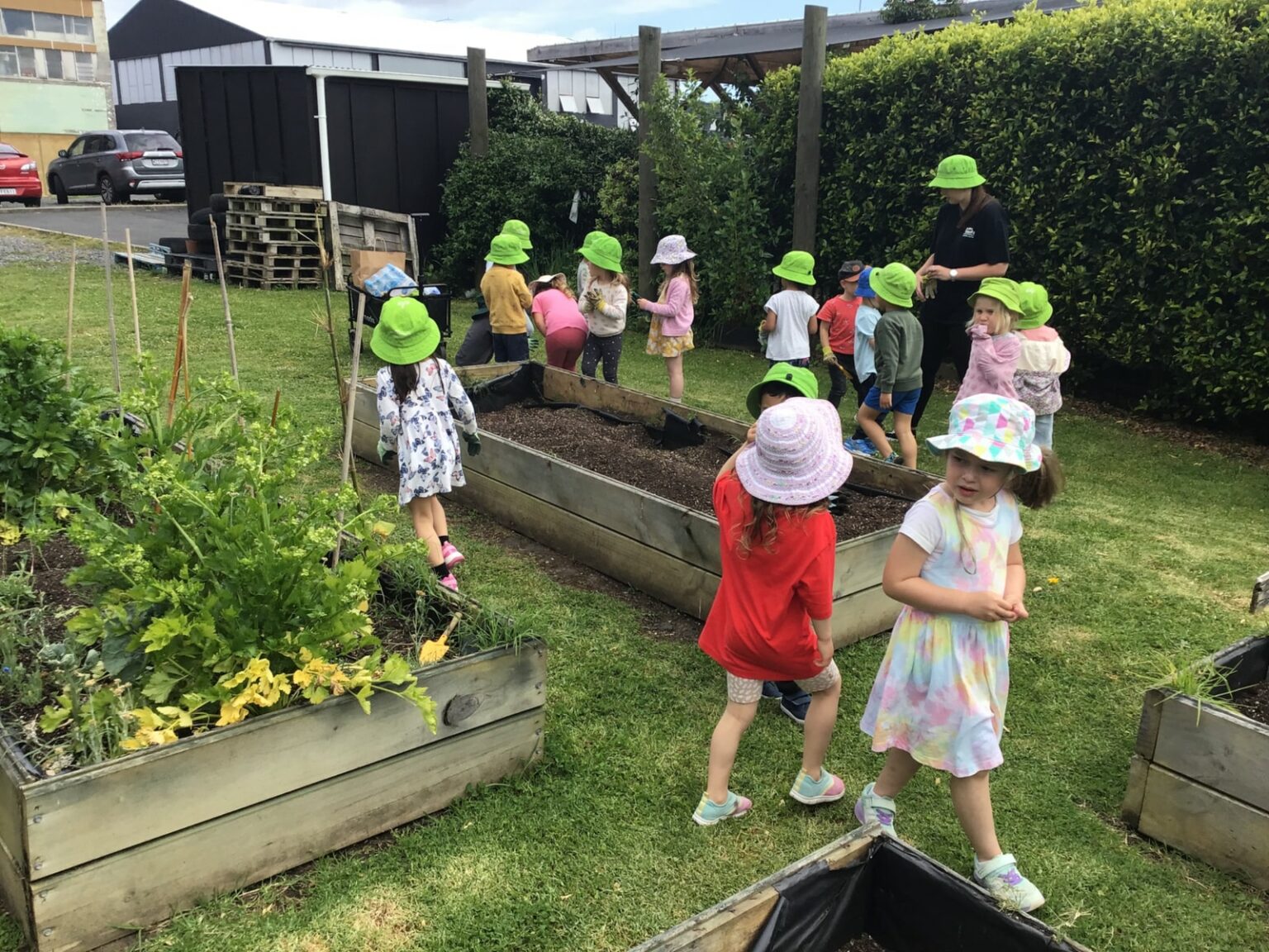 Enviroschools | New Shoots Pakuranga – Growing a sustainable community