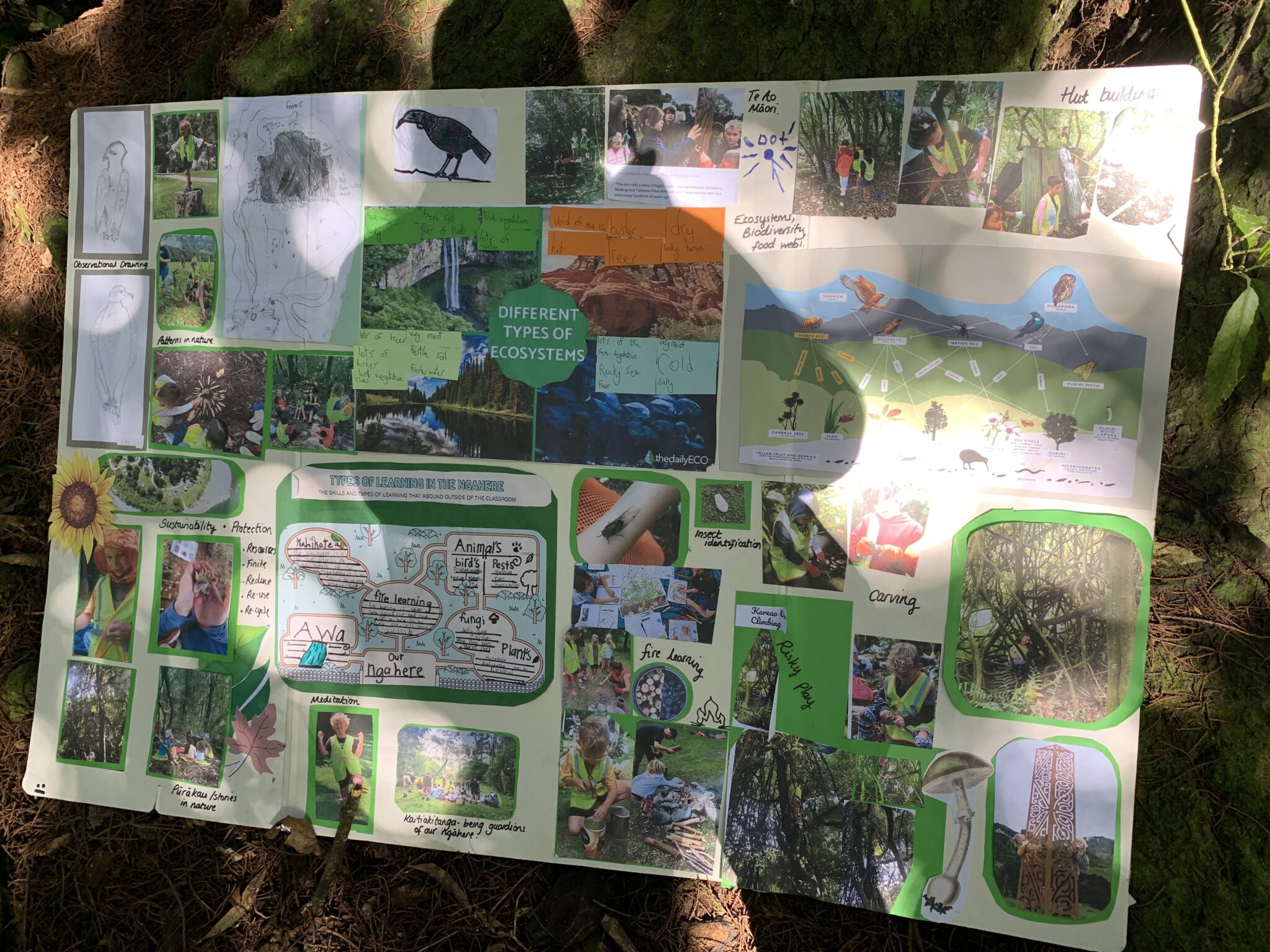 Enviroschools | Reflecting in Ngahere Celebrates Mangaweka approach