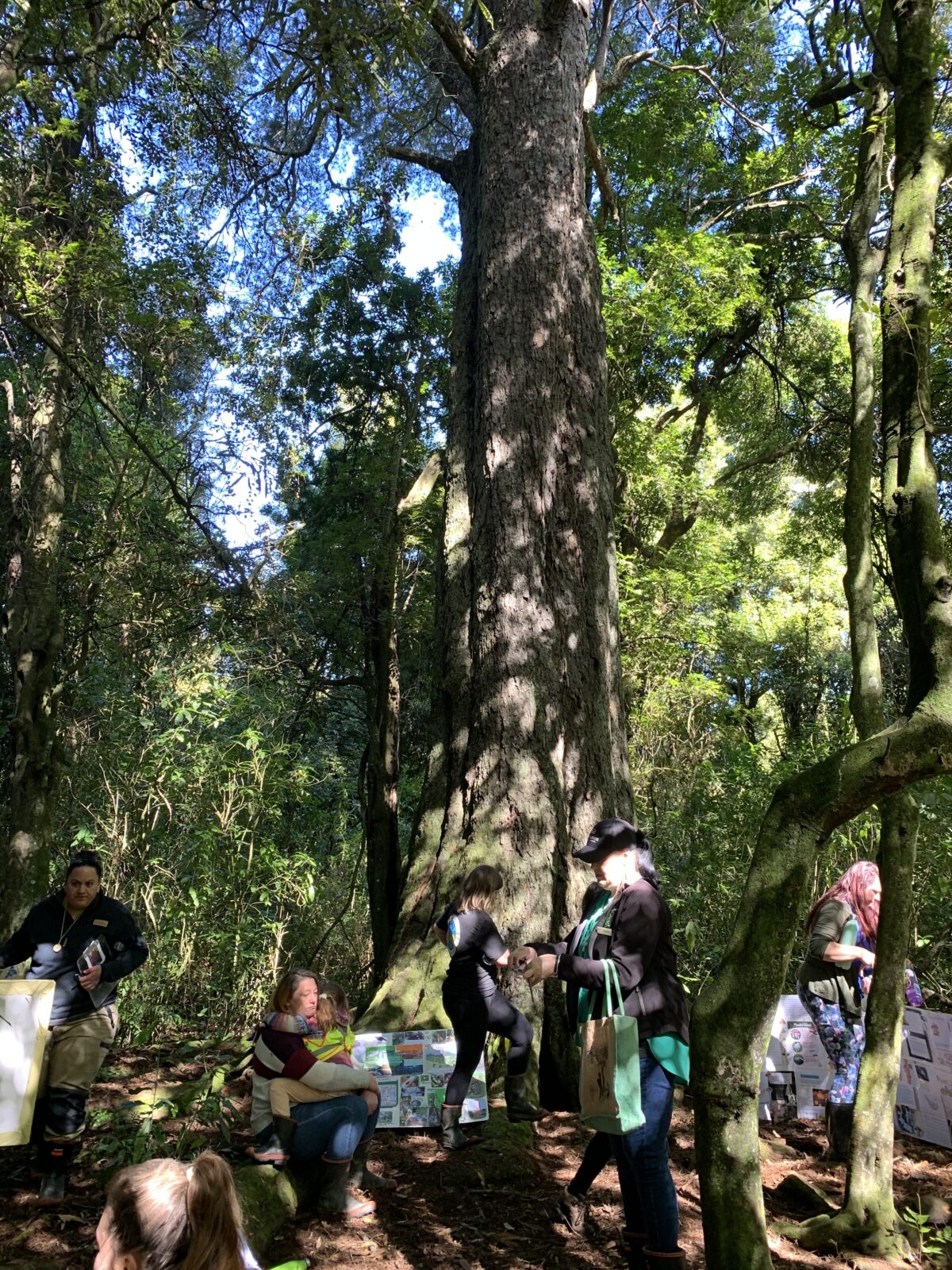 Enviroschools | Reflecting in Ngahere Celebrates Mangaweka approach