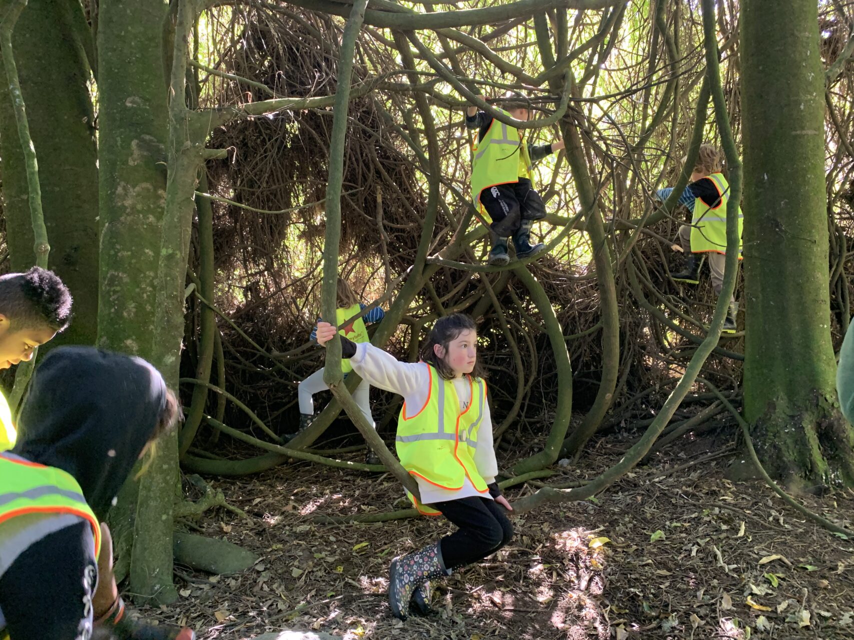 Enviroschools | Reflecting in Ngahere Celebrates Mangaweka approach