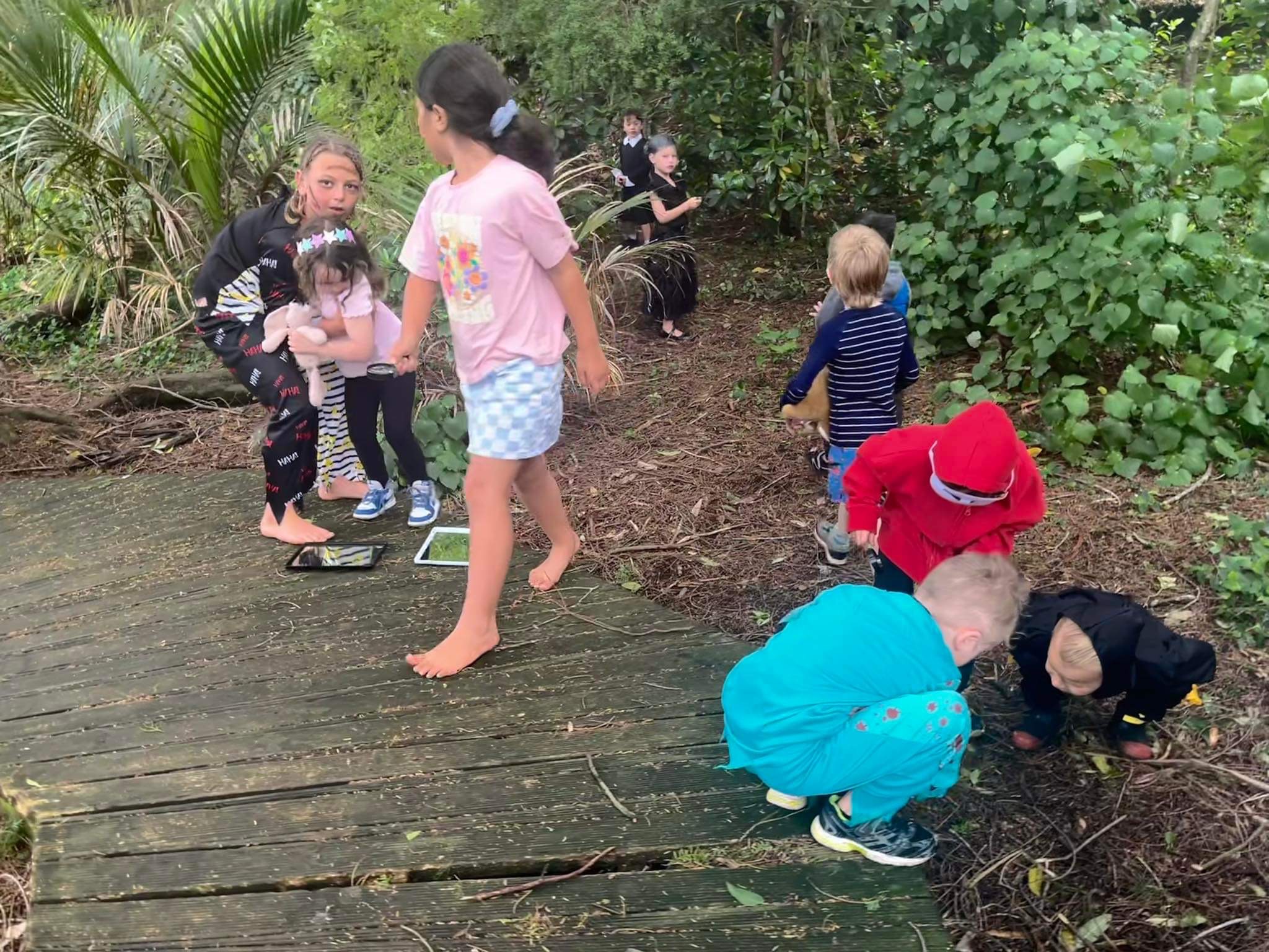 Enviroschools | Exploring our Ngahere as part of Outdoor Classroom Day