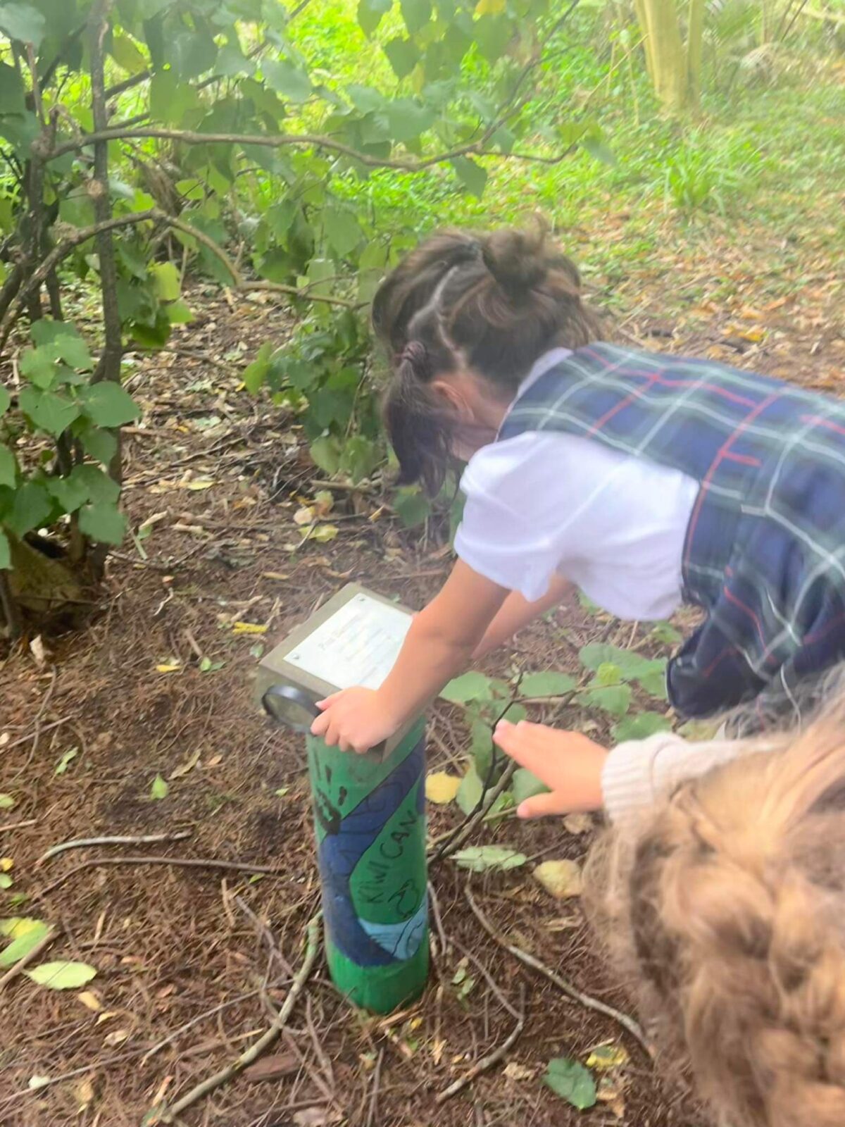 Enviroschools | Exploring our Ngahere as part of Outdoor Classroom Day