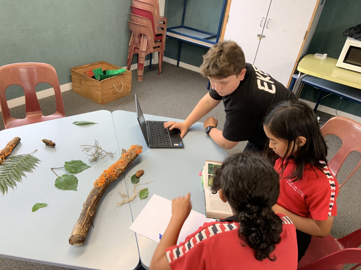 Enviroschools | Establishing Strong Foundations to Nurture a Whole ...