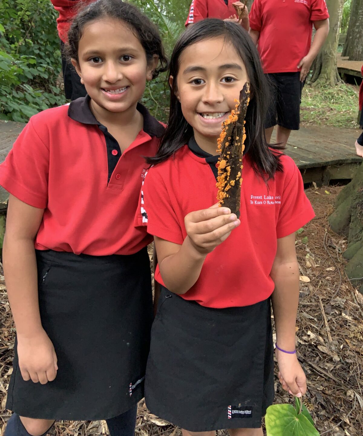 Enviroschools | Establishing Strong Foundations to Nurture a Whole ...