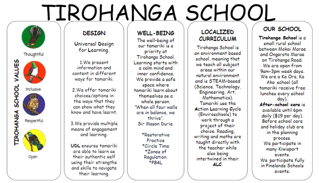 Enviroschools | Synergy of Local Curriculum development