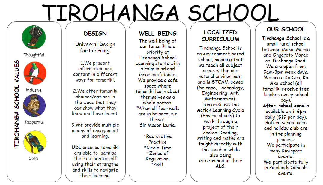Enviroschools | Synergy of Local Curriculum development