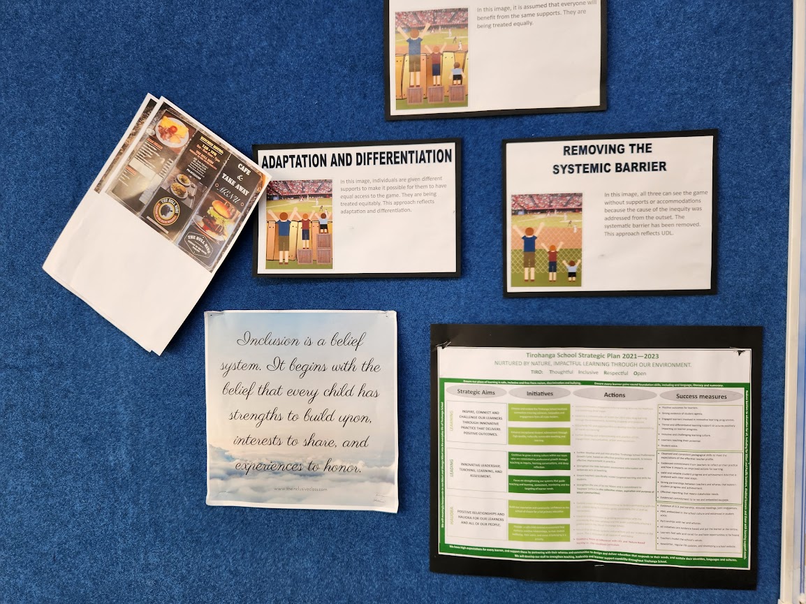 Enviroschools | Synergy of Local Curriculum development