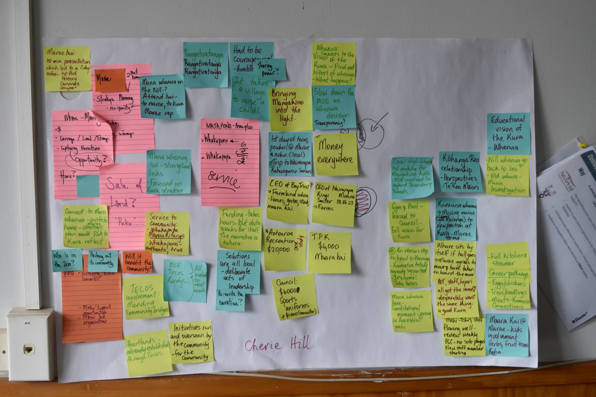 Enviroschools | Synergy of Local Curriculum development