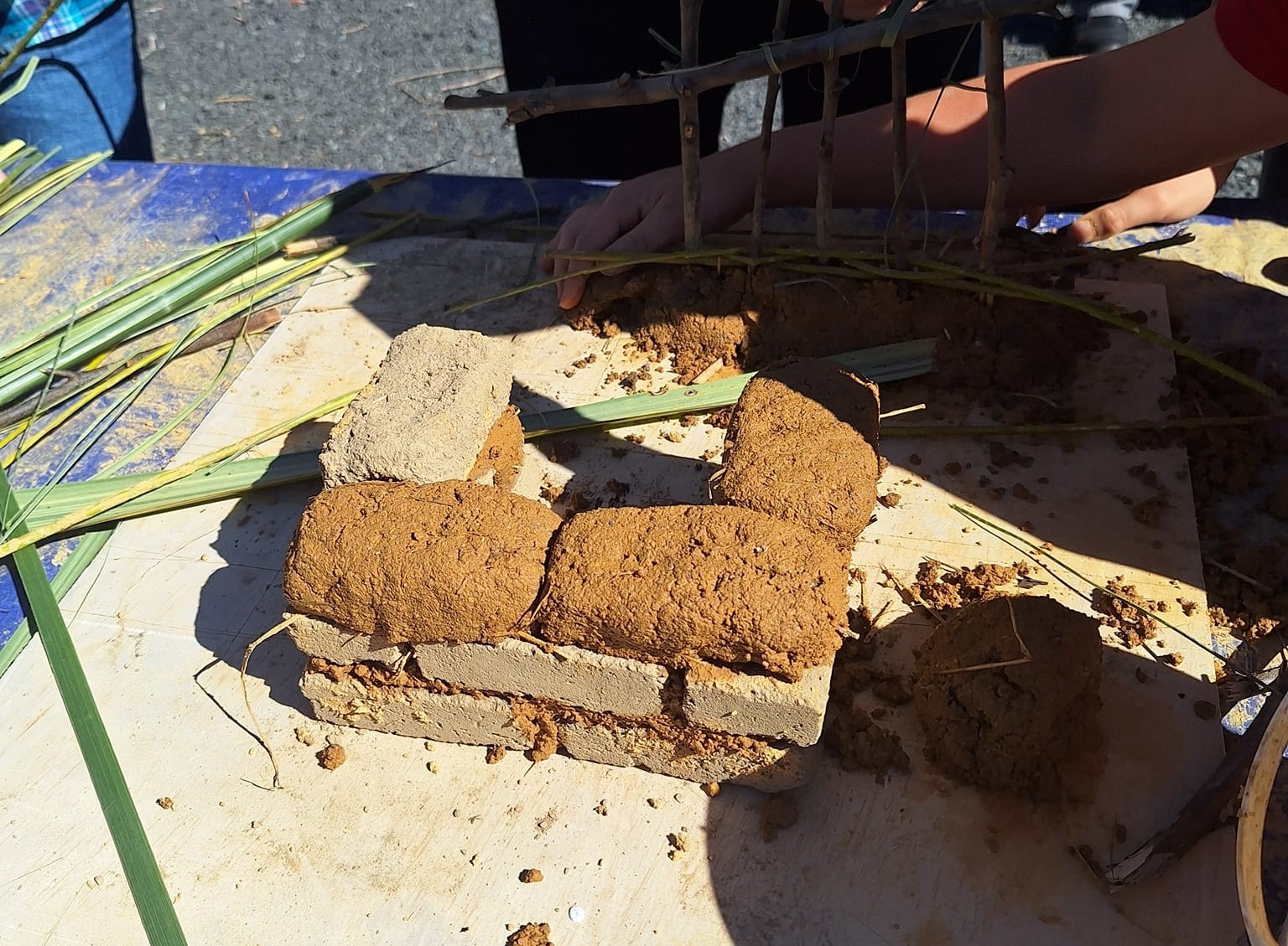 Enviroschools | Clutha Students’ Hui Builds more than Knowledge
