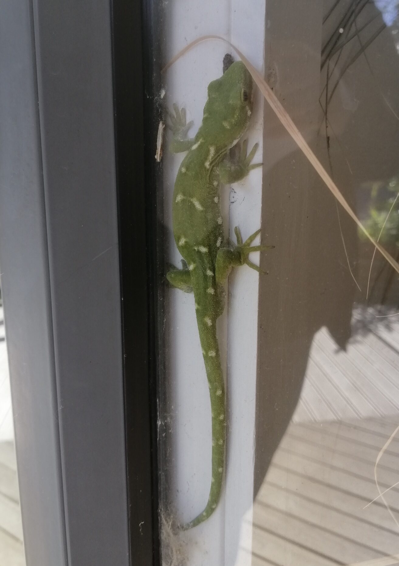 Enviroschools | Facilitators connecting to Place in Wairau/ Marlborough