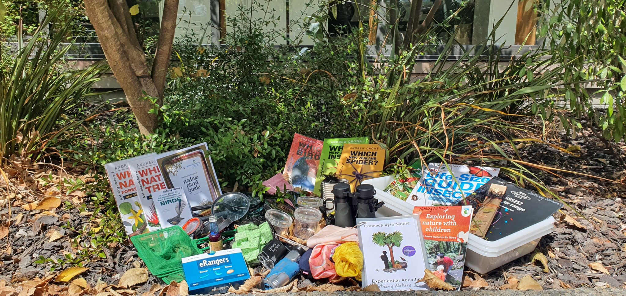 Enviroschools | Noticing Nature Wairarapa Workshops