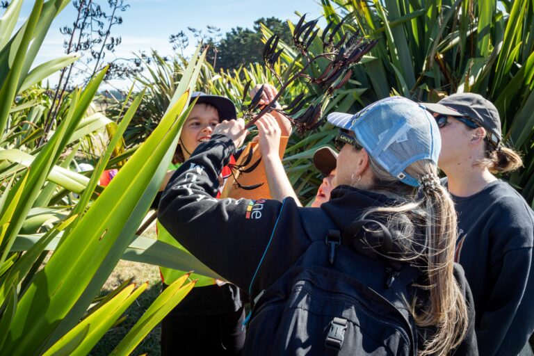 Enviroschools | Enviroschools leaders connect and explore Tūhaitara ...