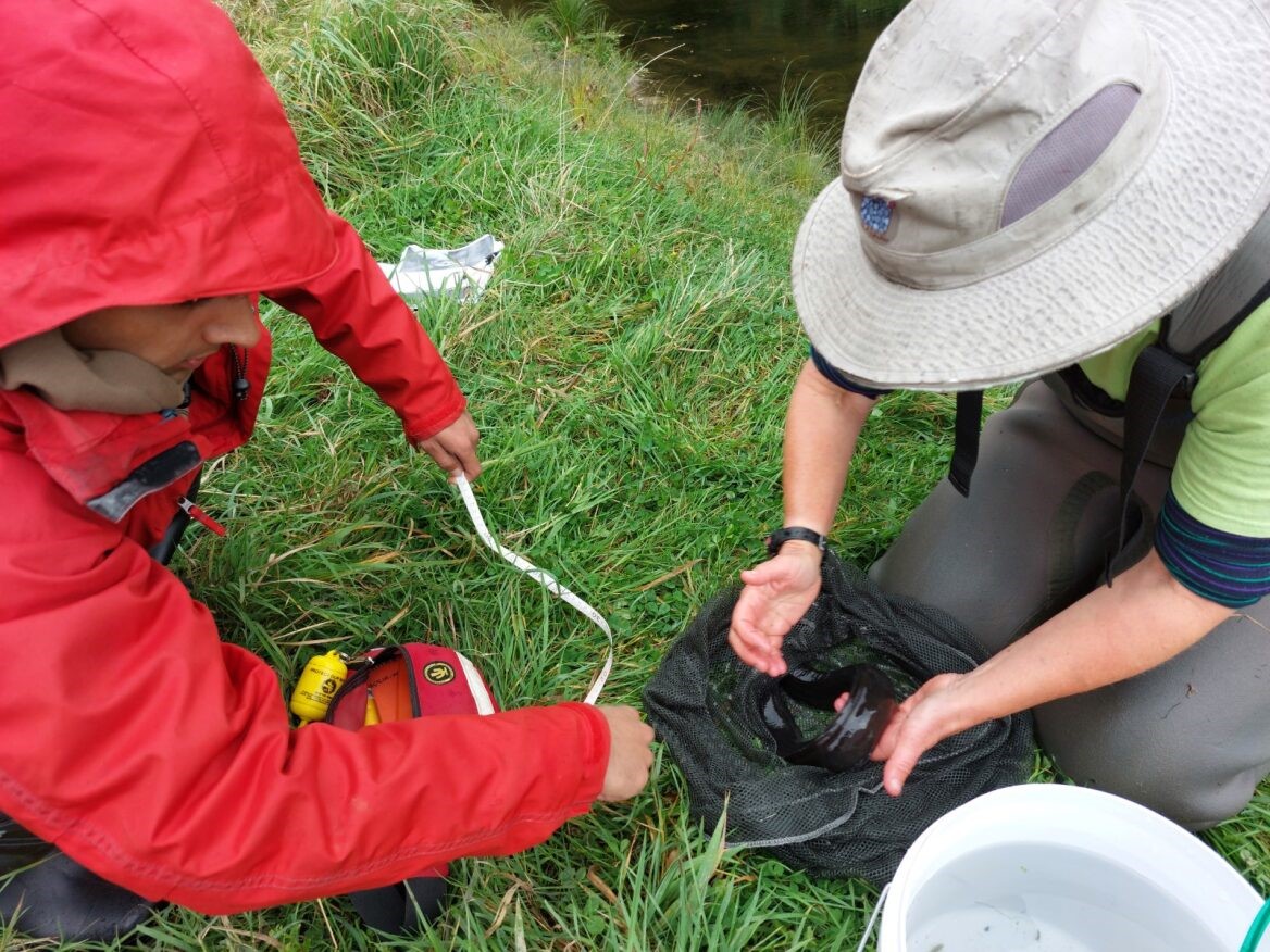 Enviroschools | Secondary students embrace in-the-field learning