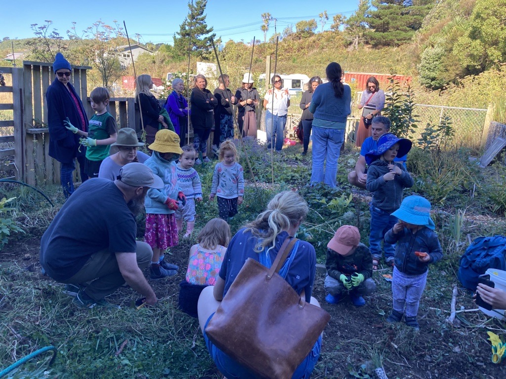 Enviroschools | A full cycle of growing kūmara knowledge