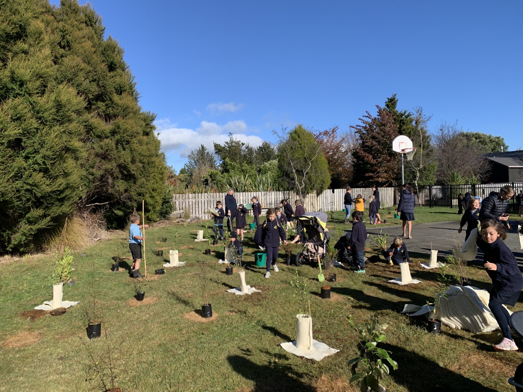 Enviroschools | Ruapehu Schools Planting for Outdoor Classrooms