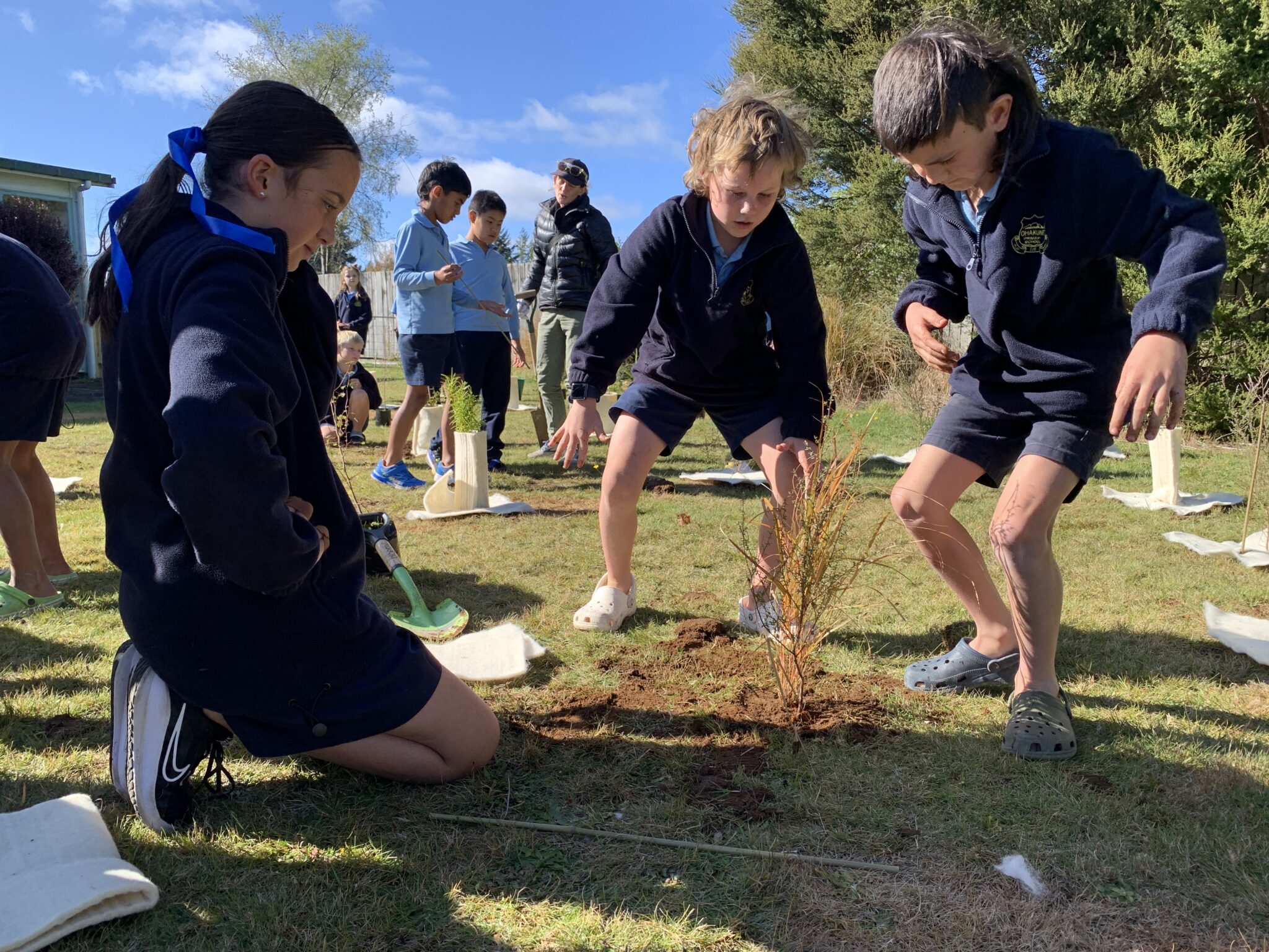 Enviroschools | Ruapehu Schools Planting for Outdoor Classrooms