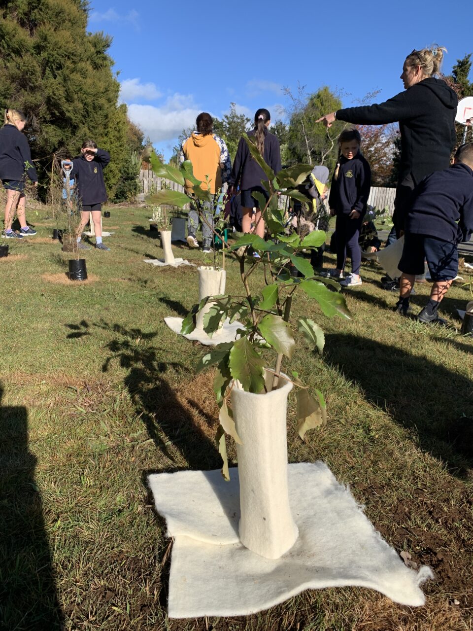 Enviroschools | Ruapehu Schools Planting for Outdoor Classrooms