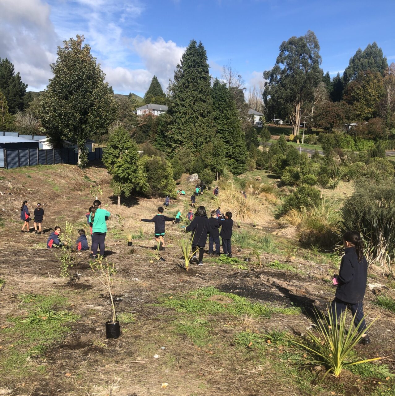 Enviroschools | Ruapehu Schools Planting for Outdoor Classrooms