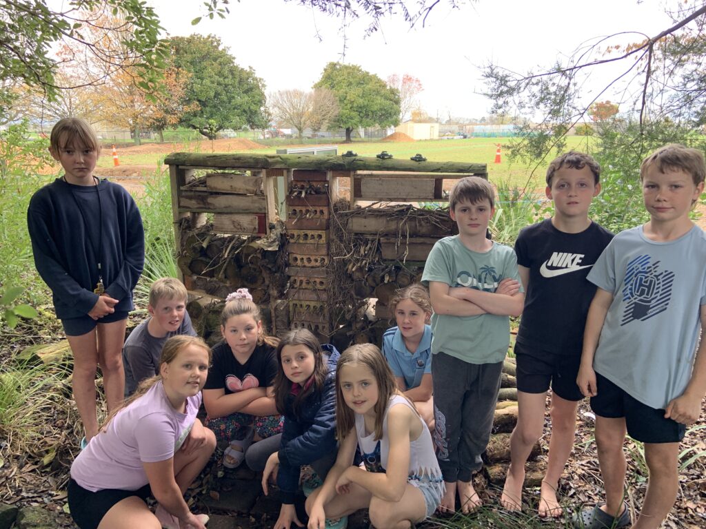 Enviroschools | Dedicated to diverse schoolground ecosystem