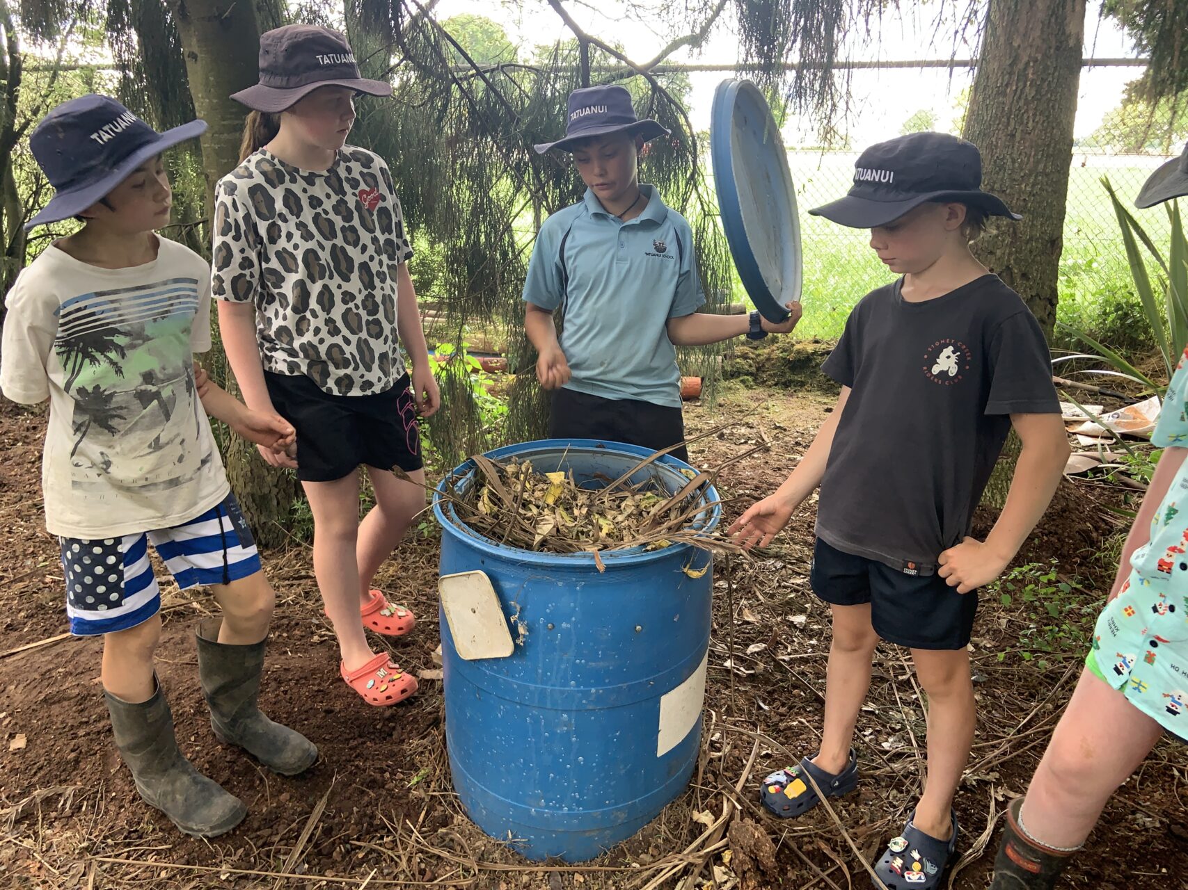 Enviroschools | Dedicated to diverse schoolground ecosystem