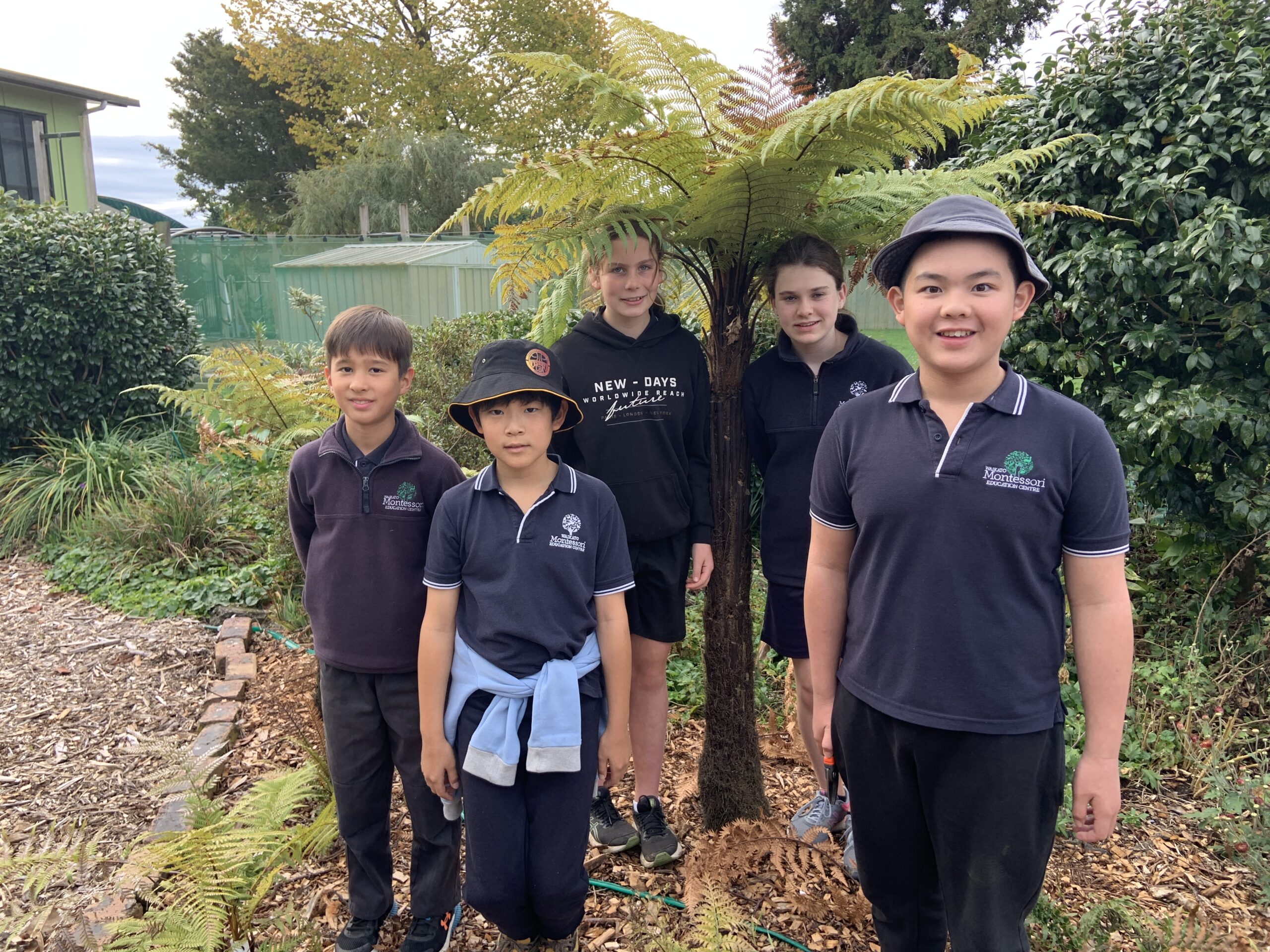 Enviroschools | Bringing nature into the school grounds