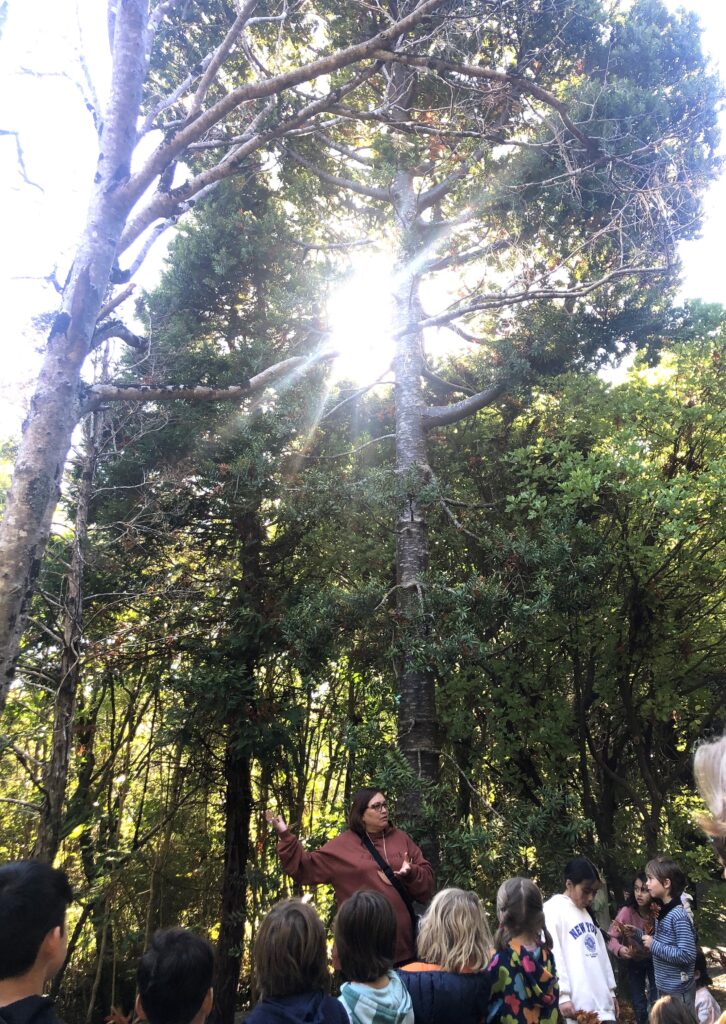 Enviroschools | Nurturing taonga species awareness in Waikanae