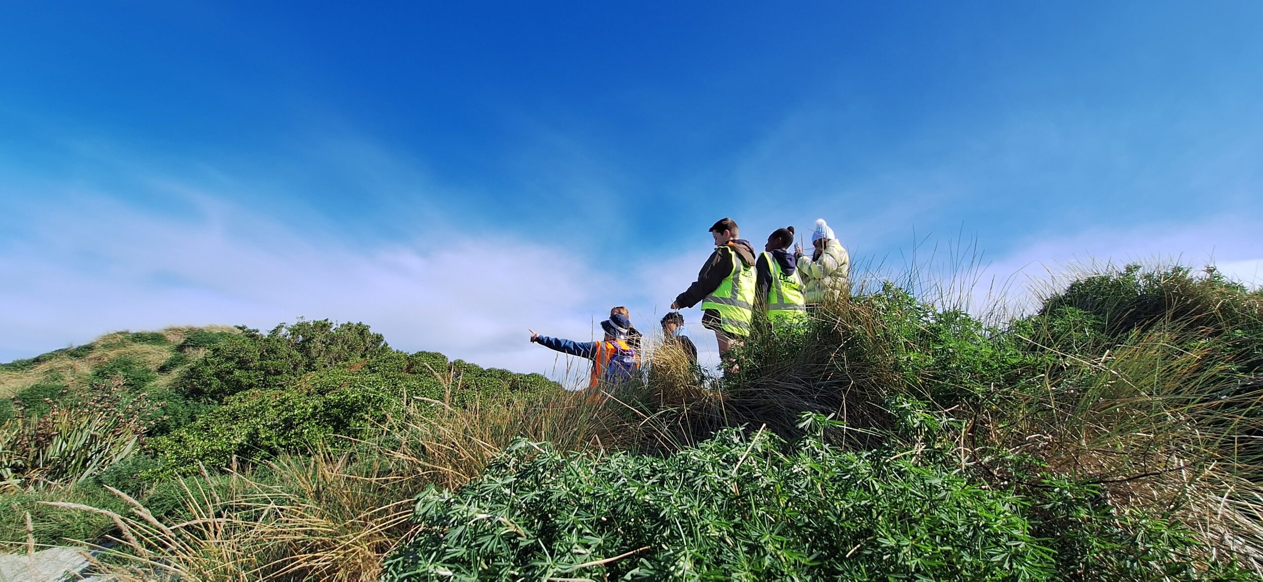 Enviroschools | Clutha and Dunedin Enviroschools Great Southern BioBlitz