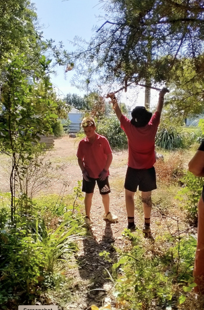 Enviroschools | Celebrating 2024 mahi enabled through One Billion Trees ...