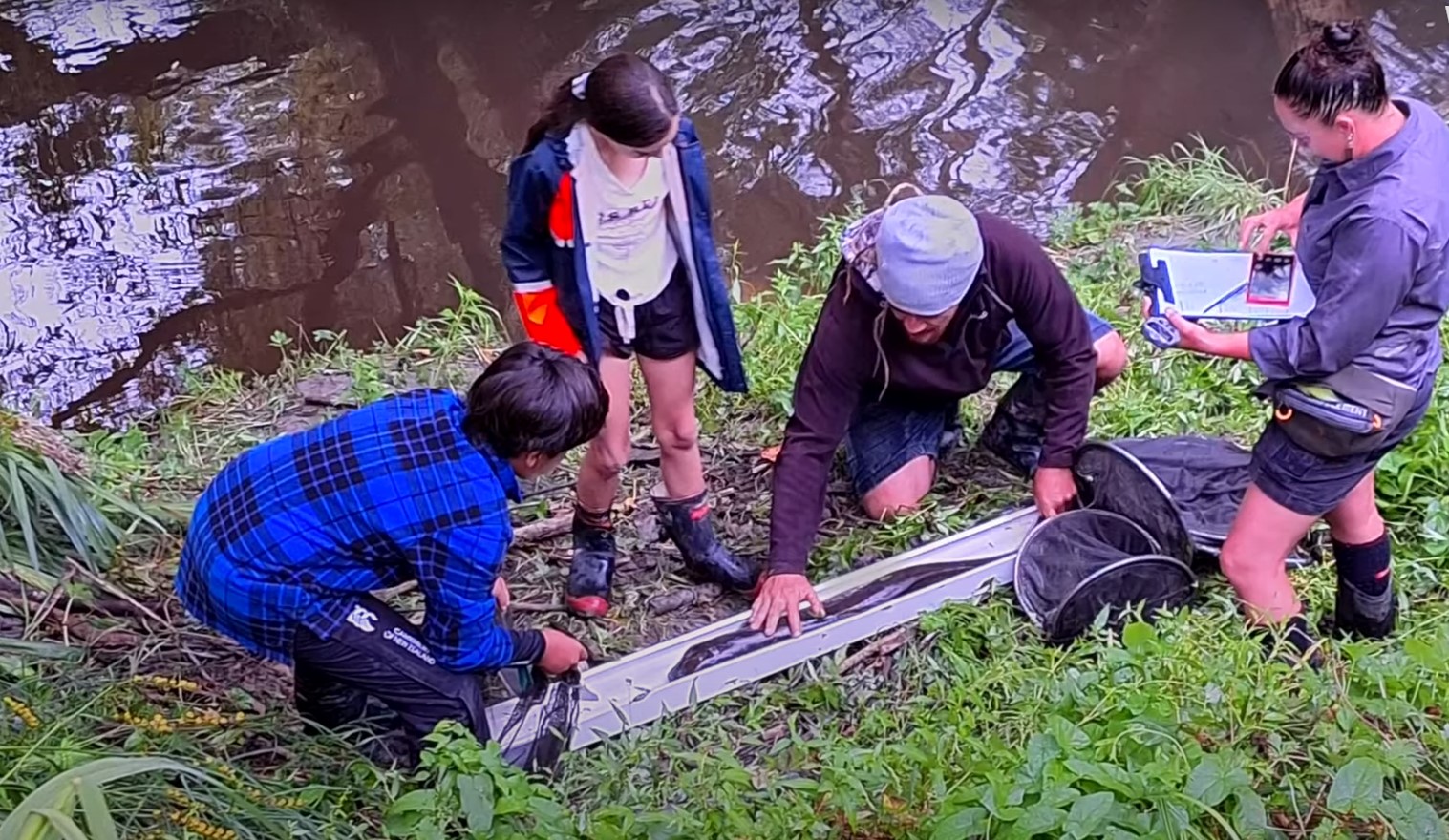 Enviroschools | Celebrating outstanding Environmental Action in Taranaki