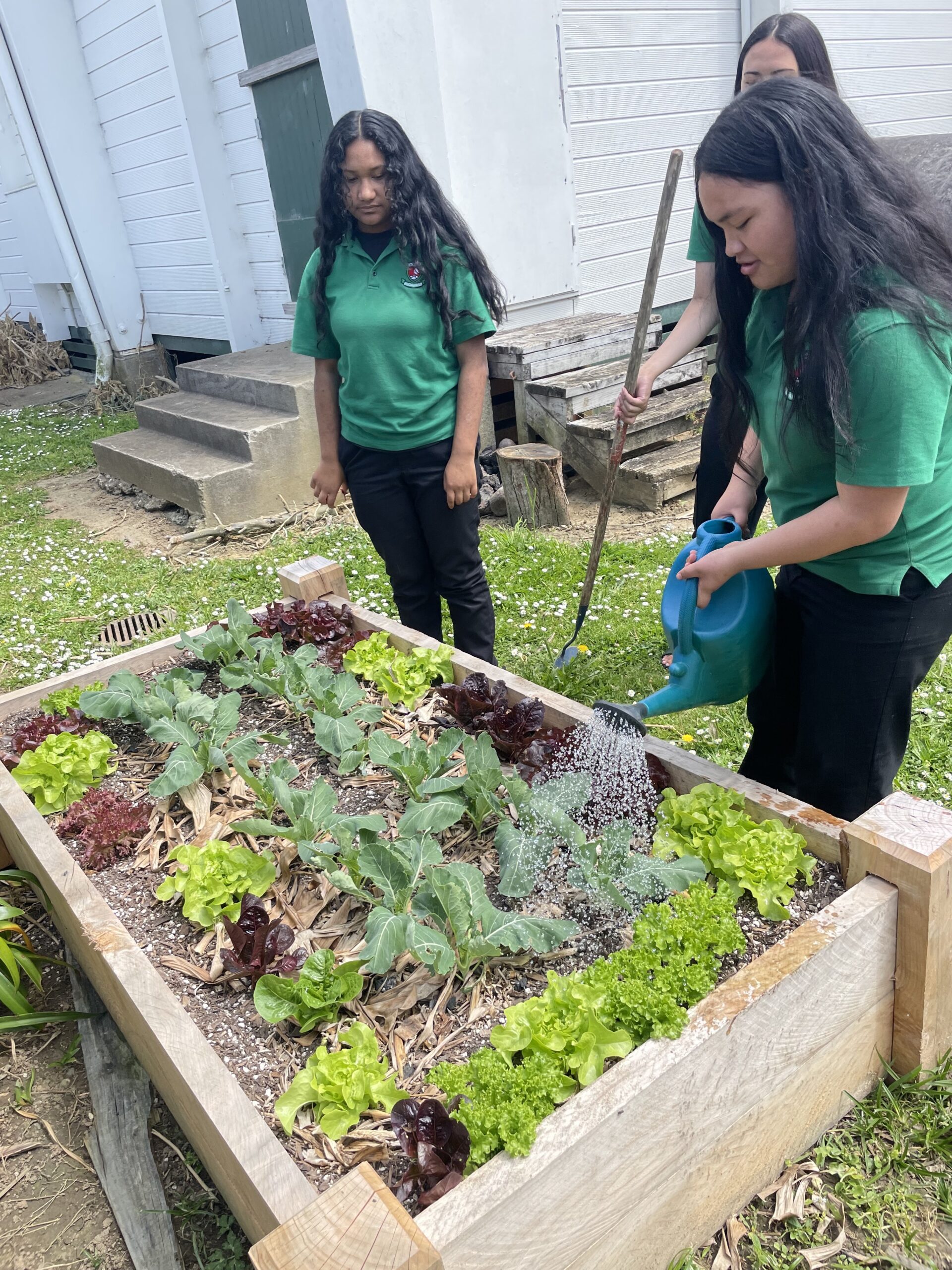 Enviroschools | Indigenous Lens helps enrich learning for sustainability