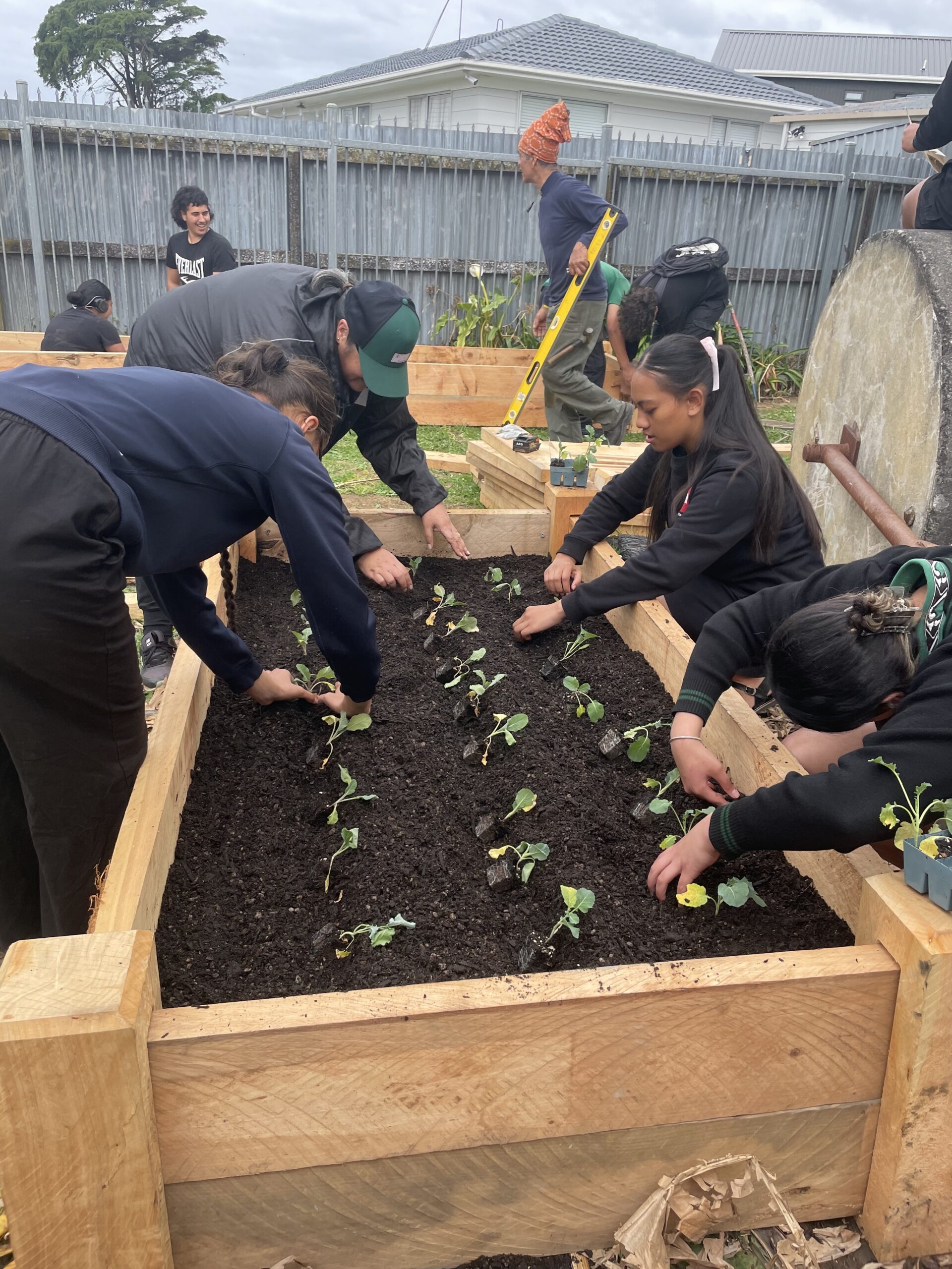 Enviroschools | Indigenous Lens helps enrich learning for sustainability