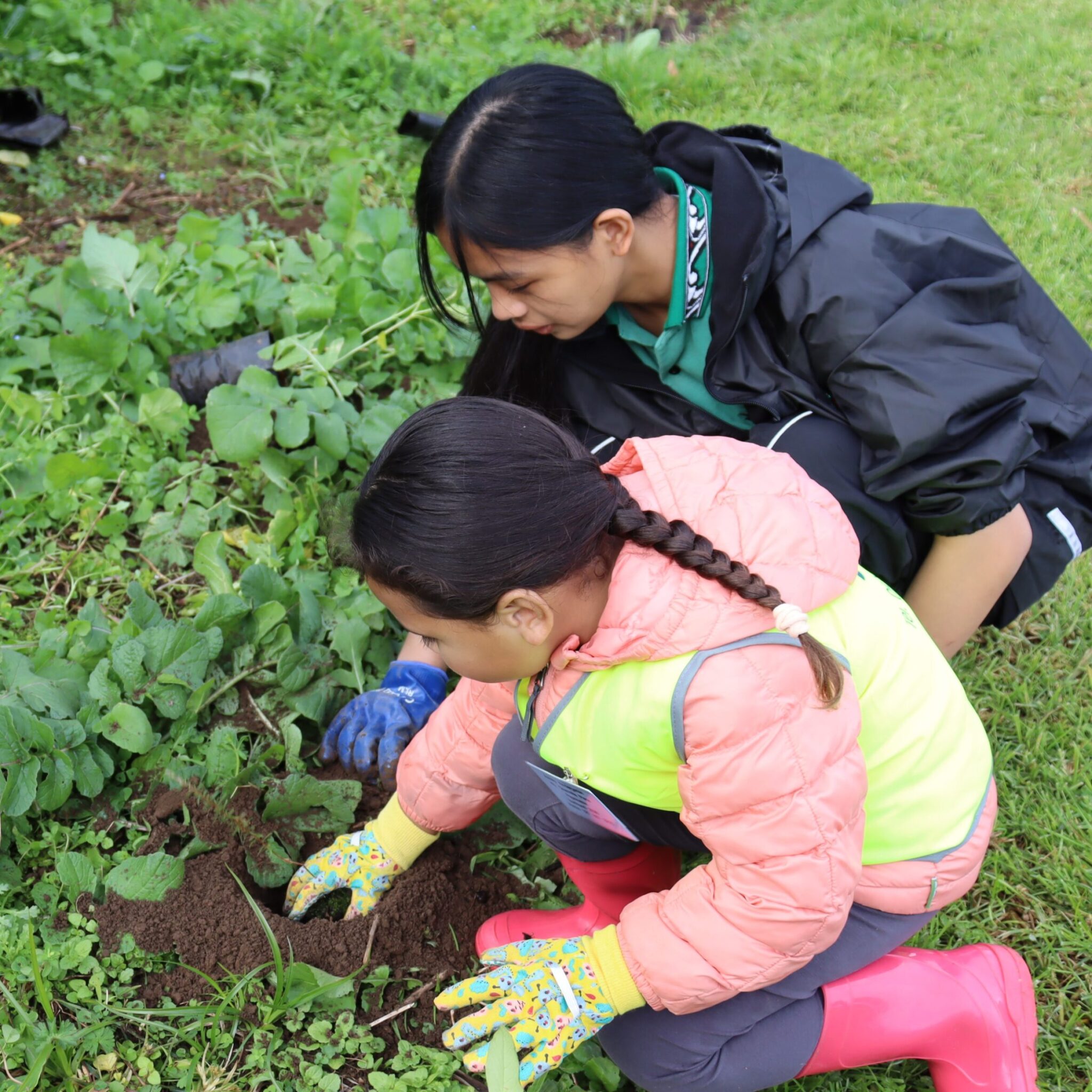 Enviroschools | Indigenous Lens helps enrich learning for sustainability