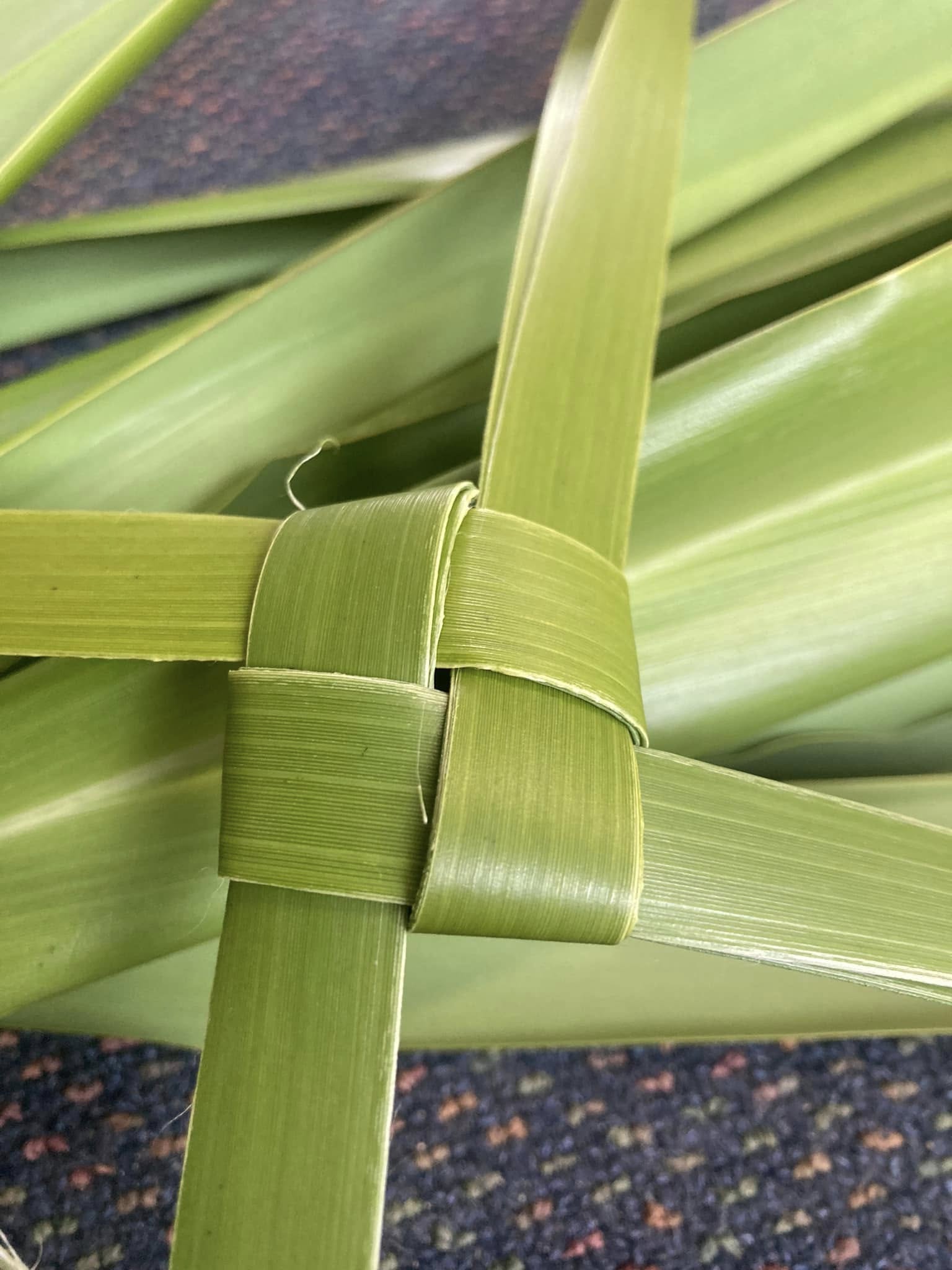 Enviroschools | Living Landscapes Learning at Māpua