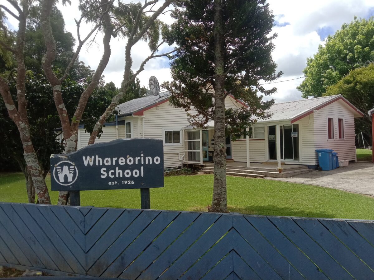 Enviroschools | Zooming in on Nature: Enviroschools Facilitation for ...