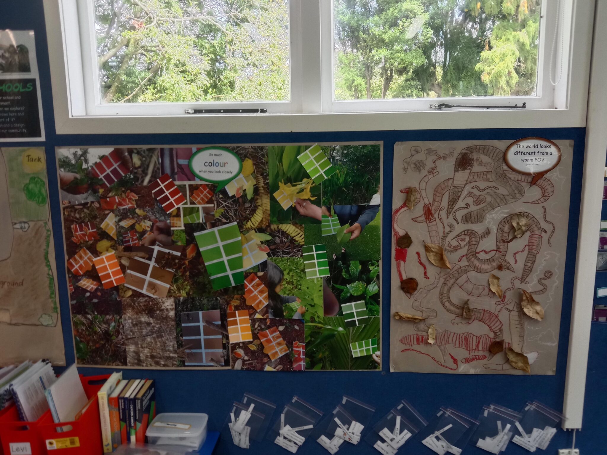 Enviroschools | Zooming in on Nature: Enviroschools Facilitation for ...