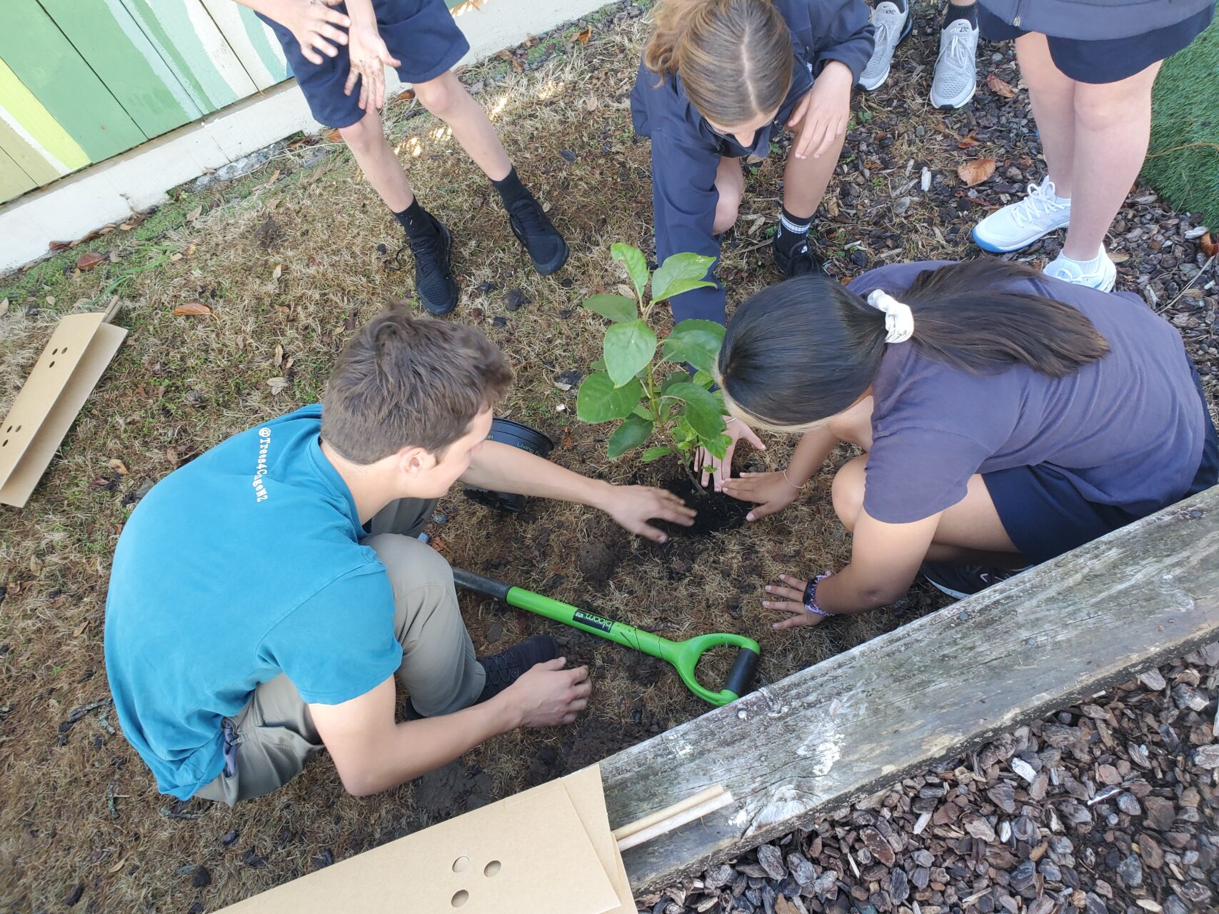 Enviroschools | Grey Main Enviro Action Day